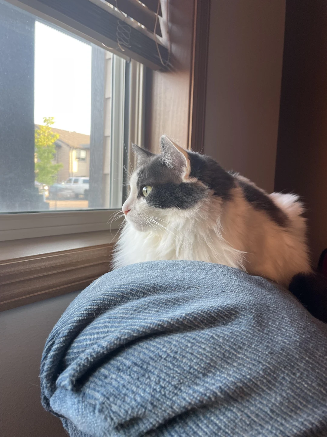 Observant loaf | Scrolller