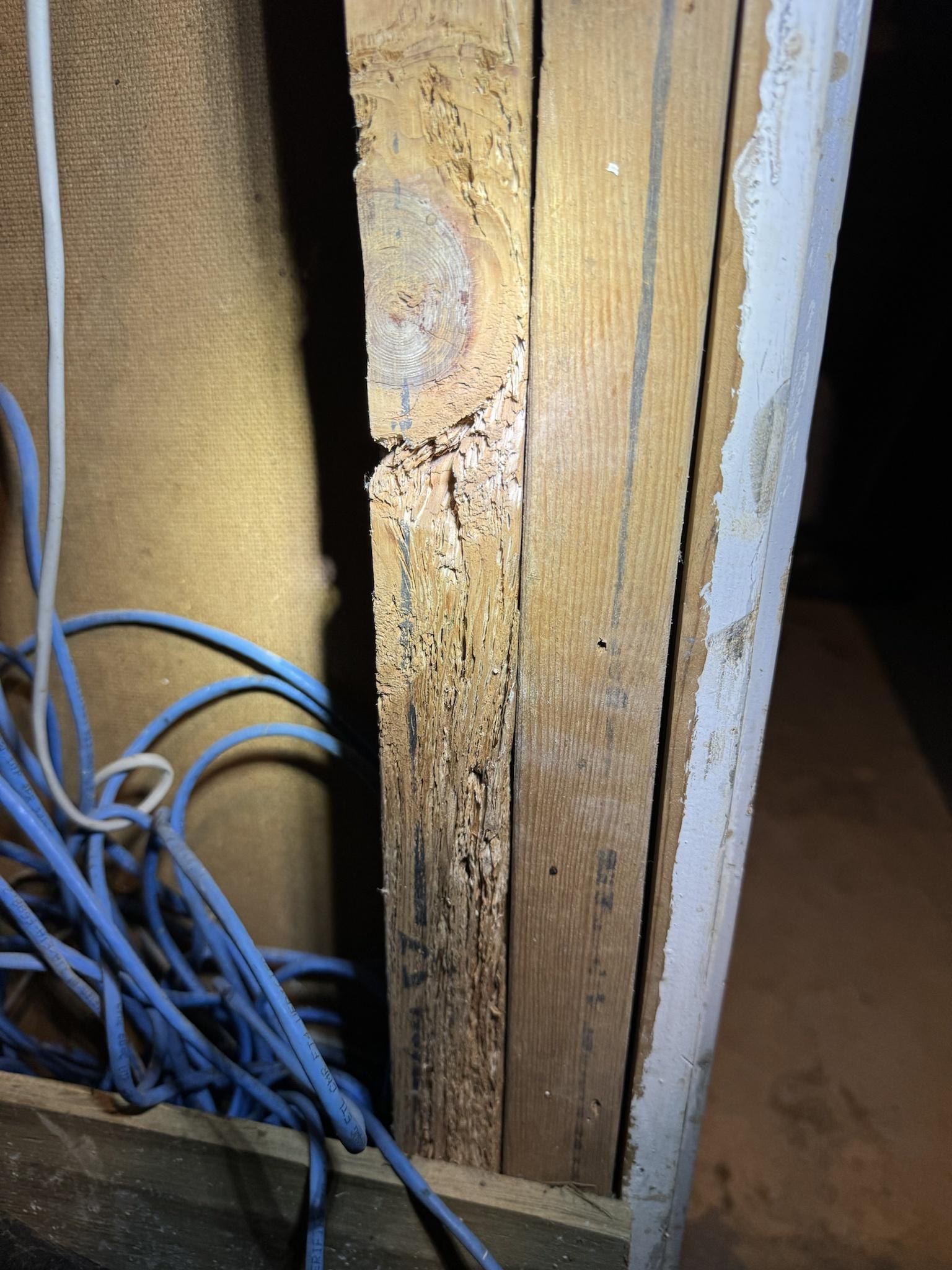 Is this termite damage? | Scrolller