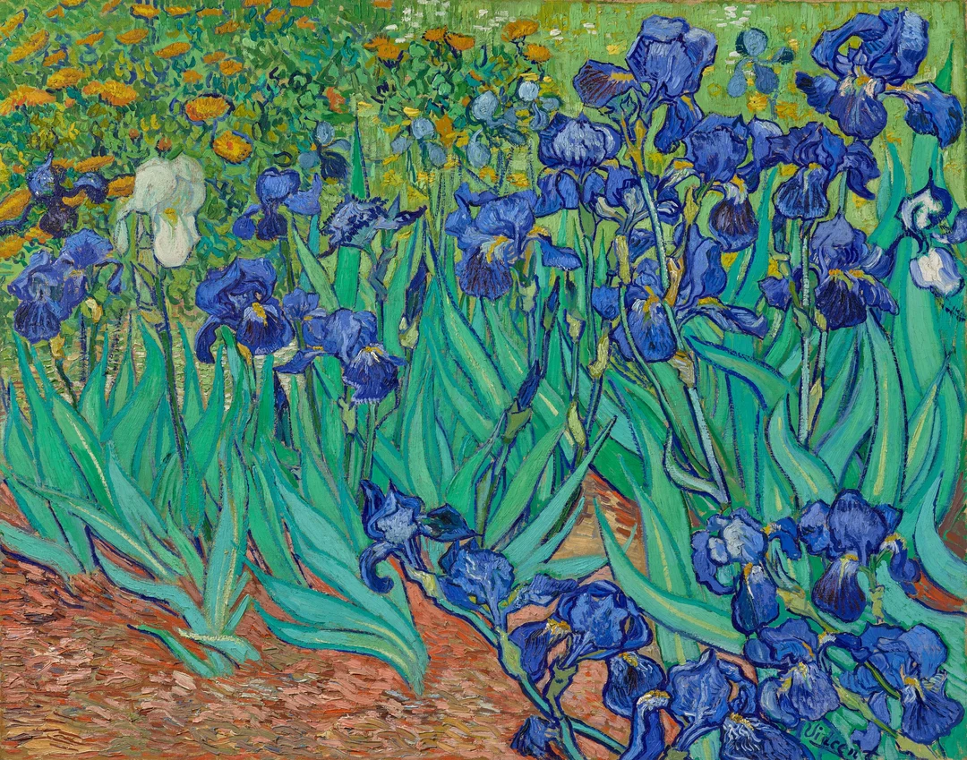 Vincent van Gogh - Irises (1889) | Scrolller