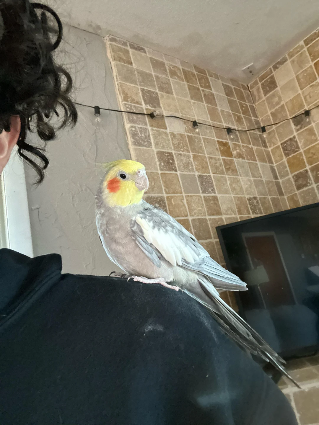 Nail Trimming tips | Scrolller