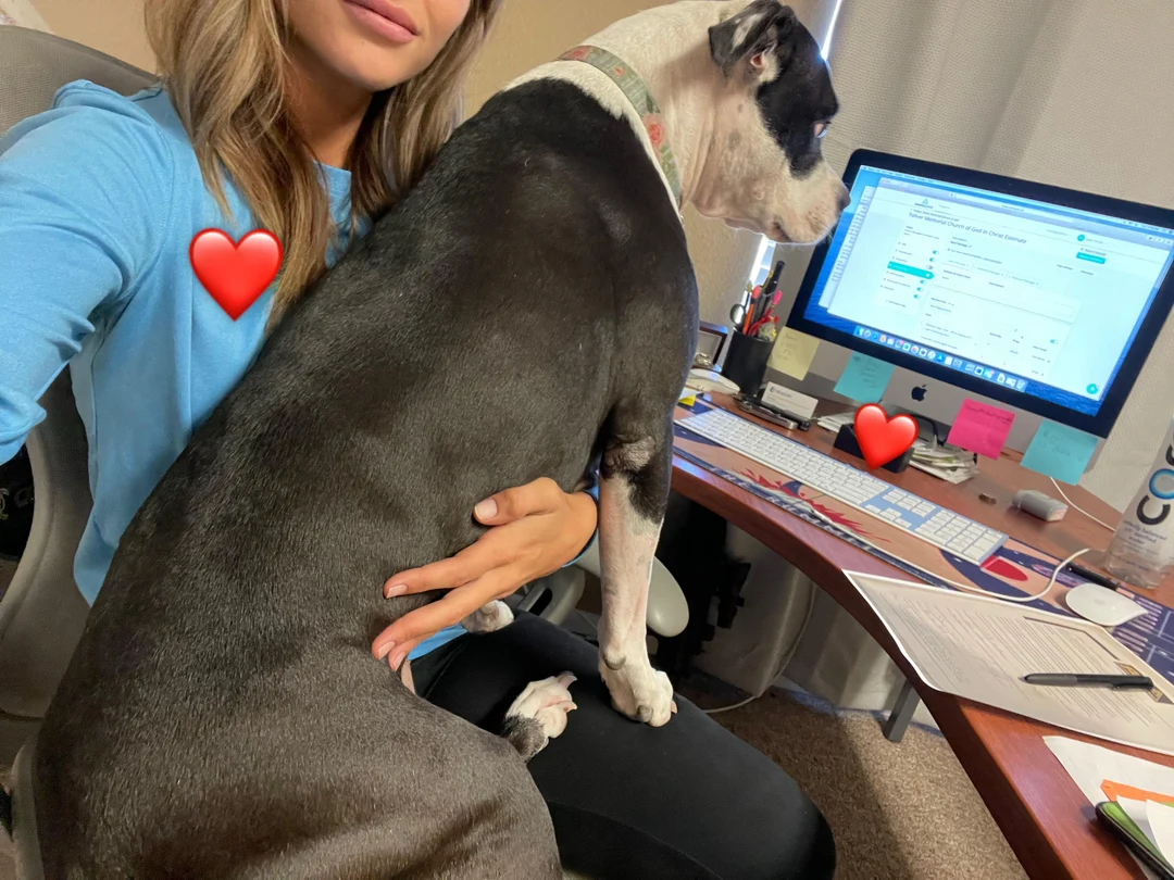 Truly a “working” pup! | Scrolller