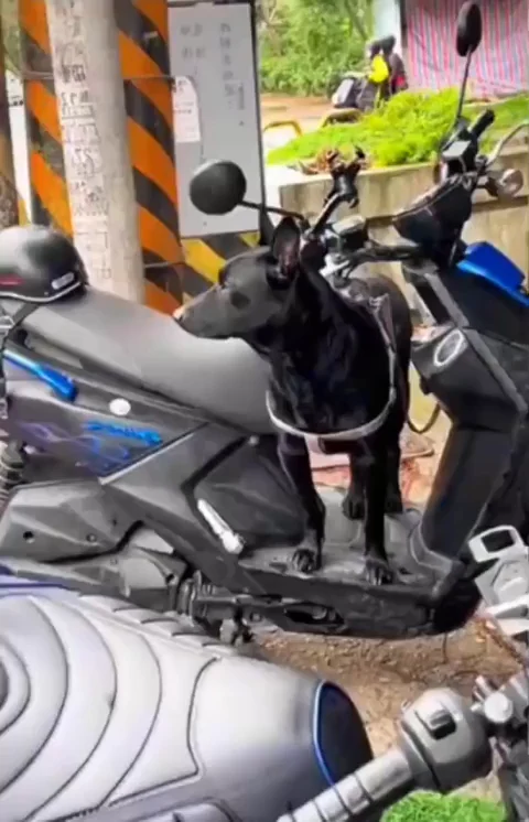 Budget alarm system | Scrolller