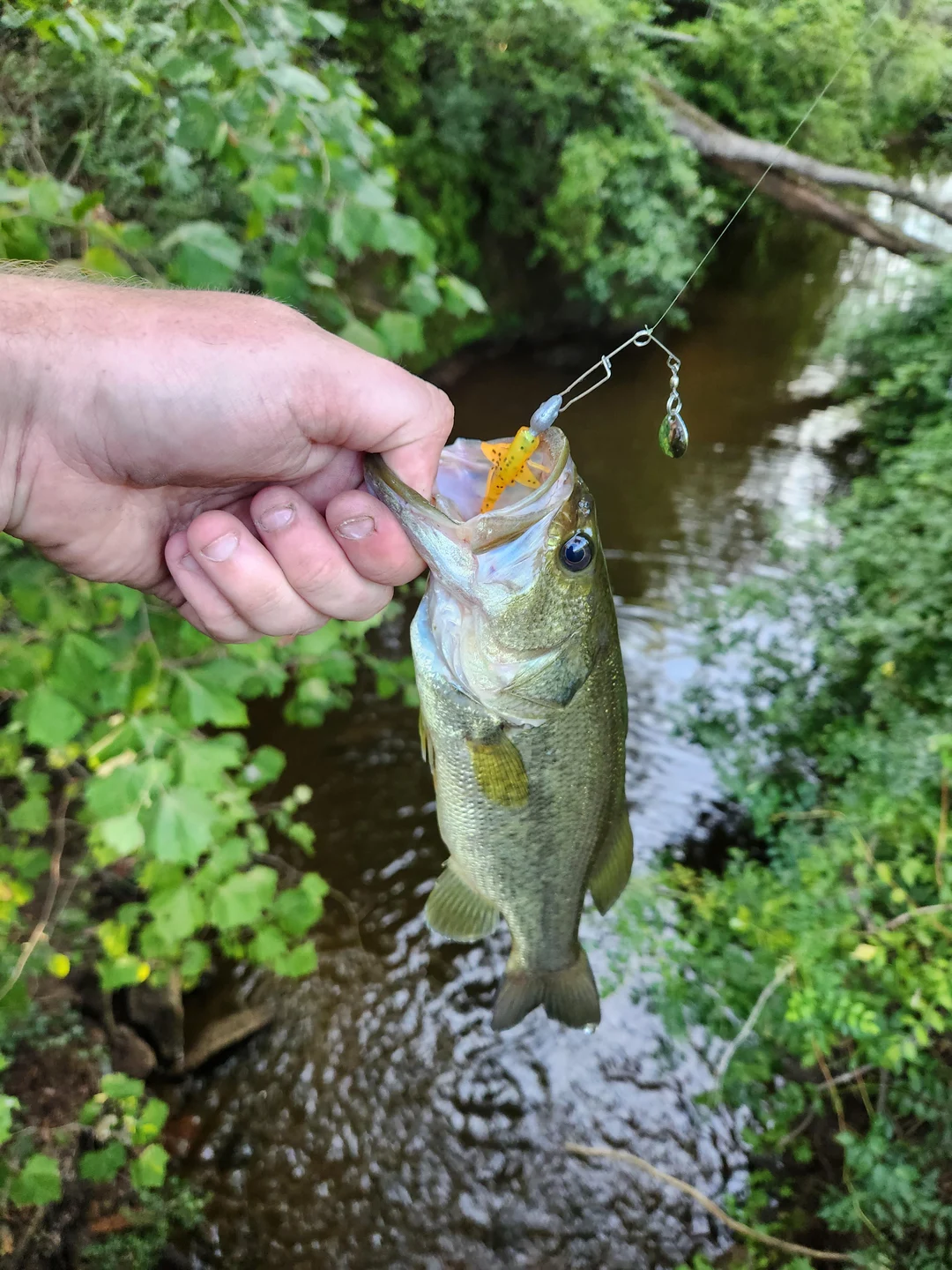 Spill way fishin | Scrolller