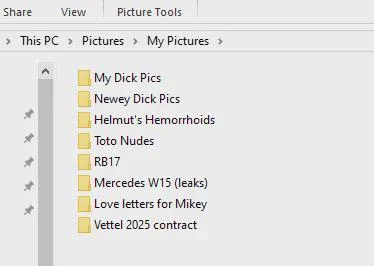 Leaked image of Horner's PC folders | Scrolller