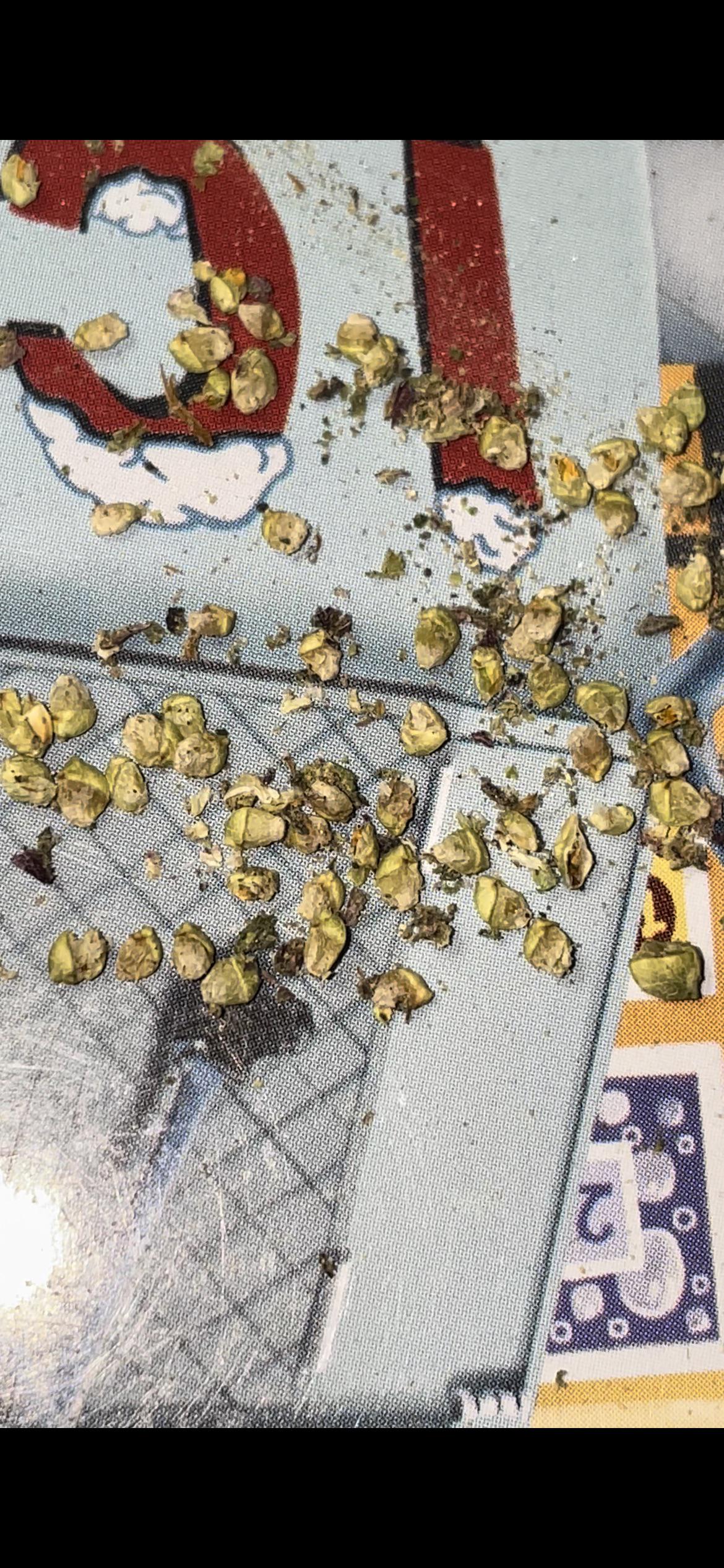 What are these? Baby seeds? | Scrolller