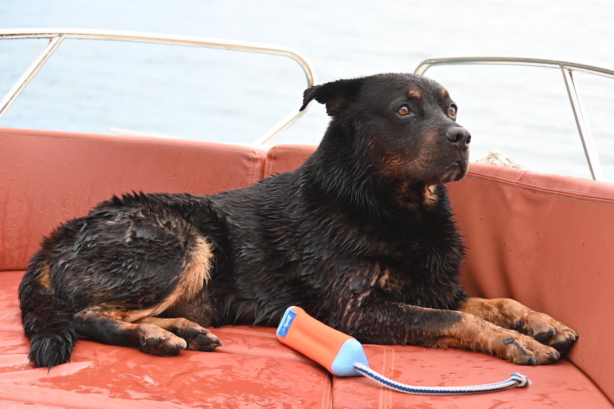 Finally it's summertime! [OC] | Scrolller