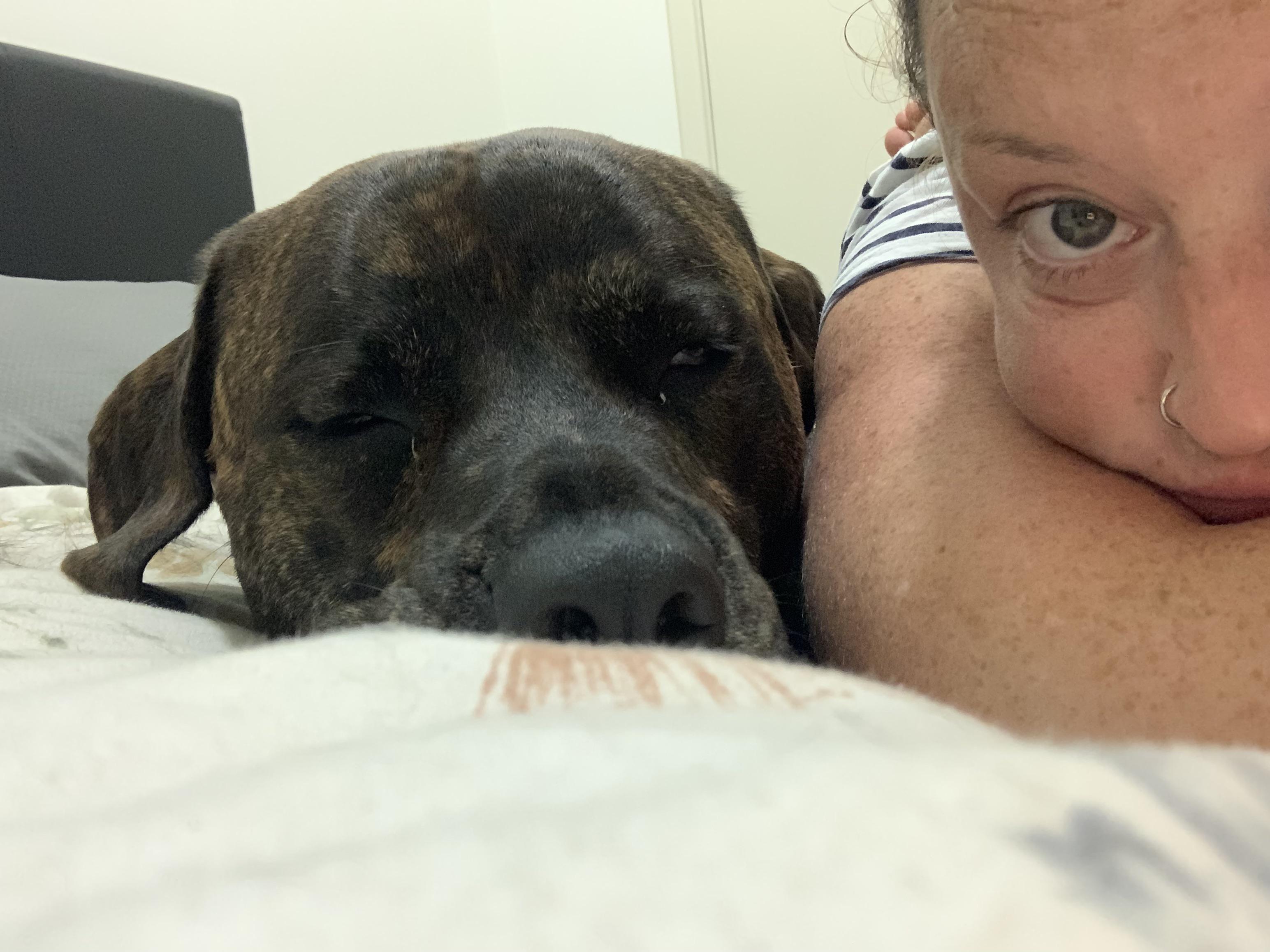 Discover more like Lookatmydog: Daily Arlo: My entire heart. and Related Content | Scrolller