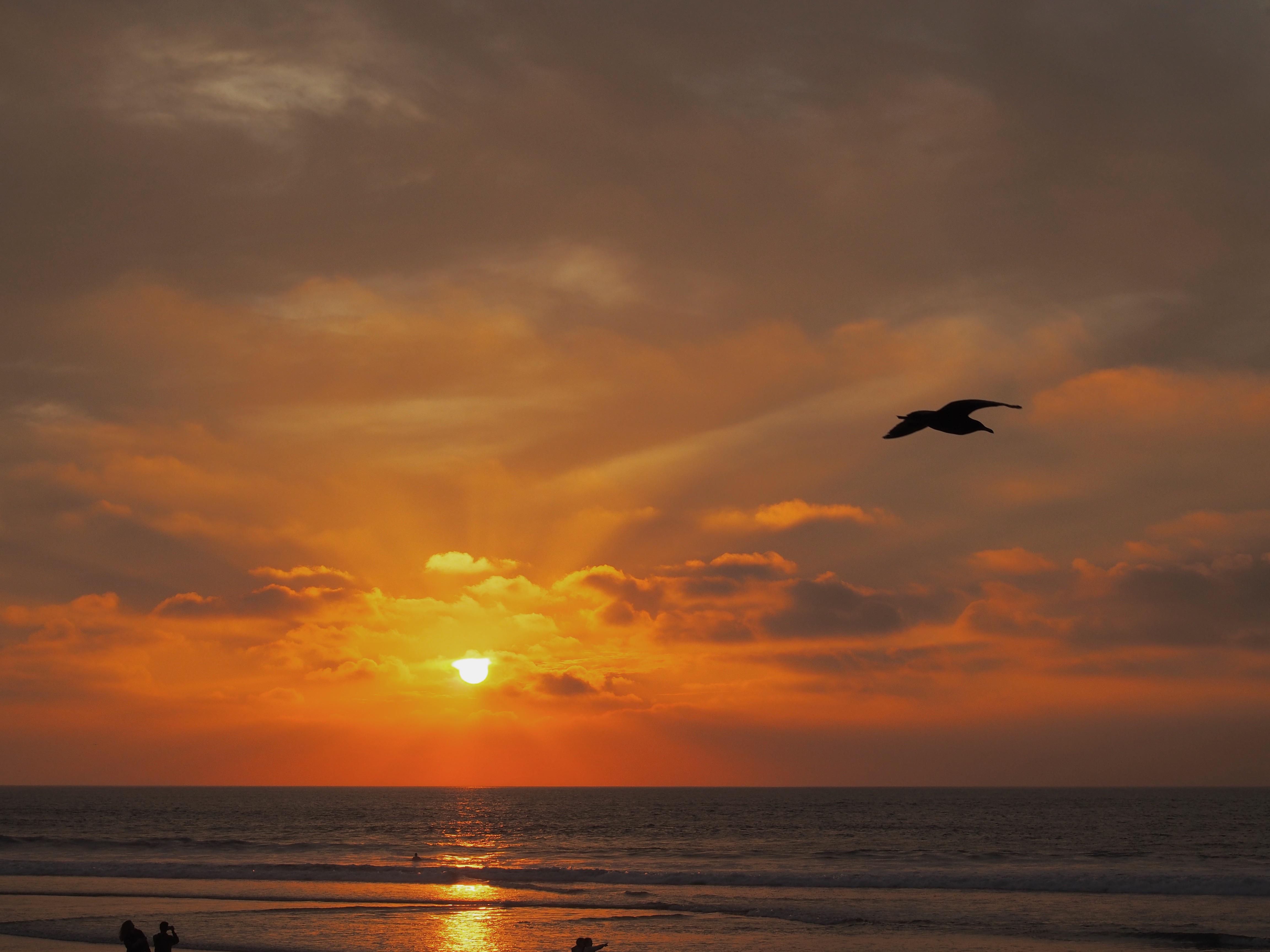 Beach Sunset | Scrolller