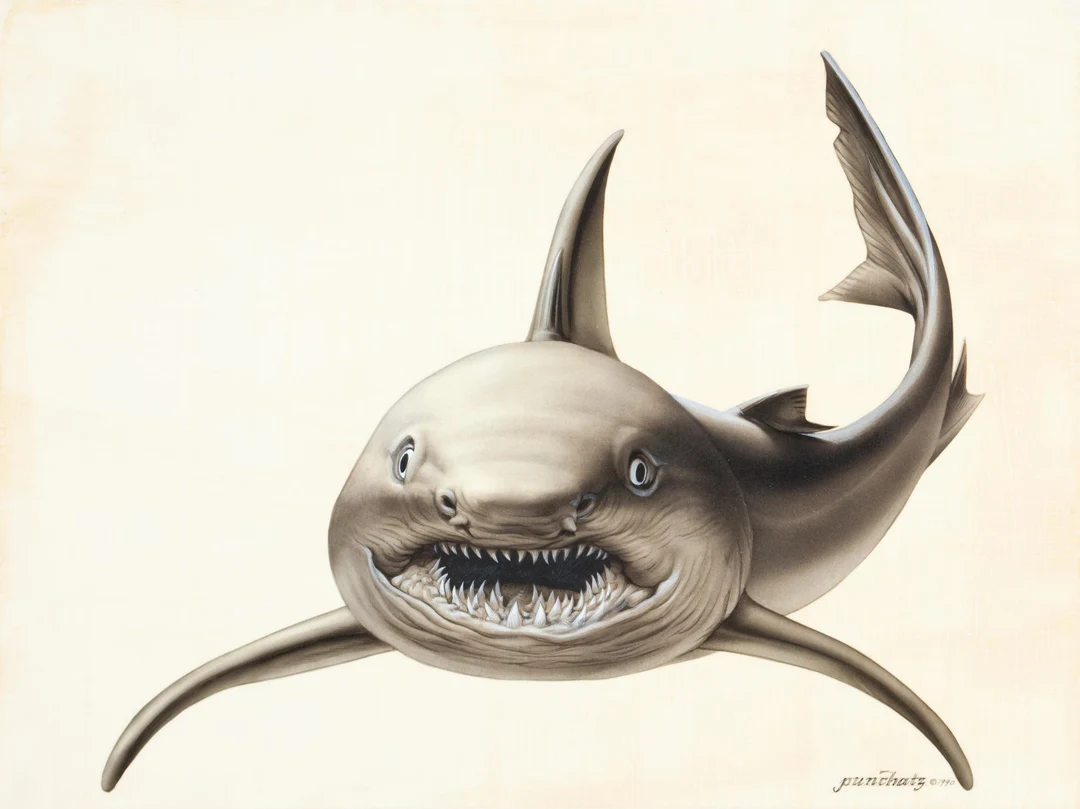 Shark by Don Ivan Punchatz | Scrolller