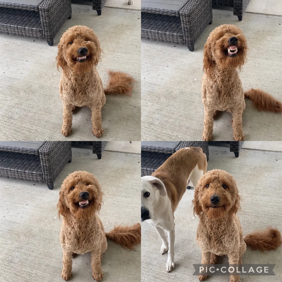 Look at this dumb face. She looks like a 6 year old on the first day of 1st grade. | Scrolller