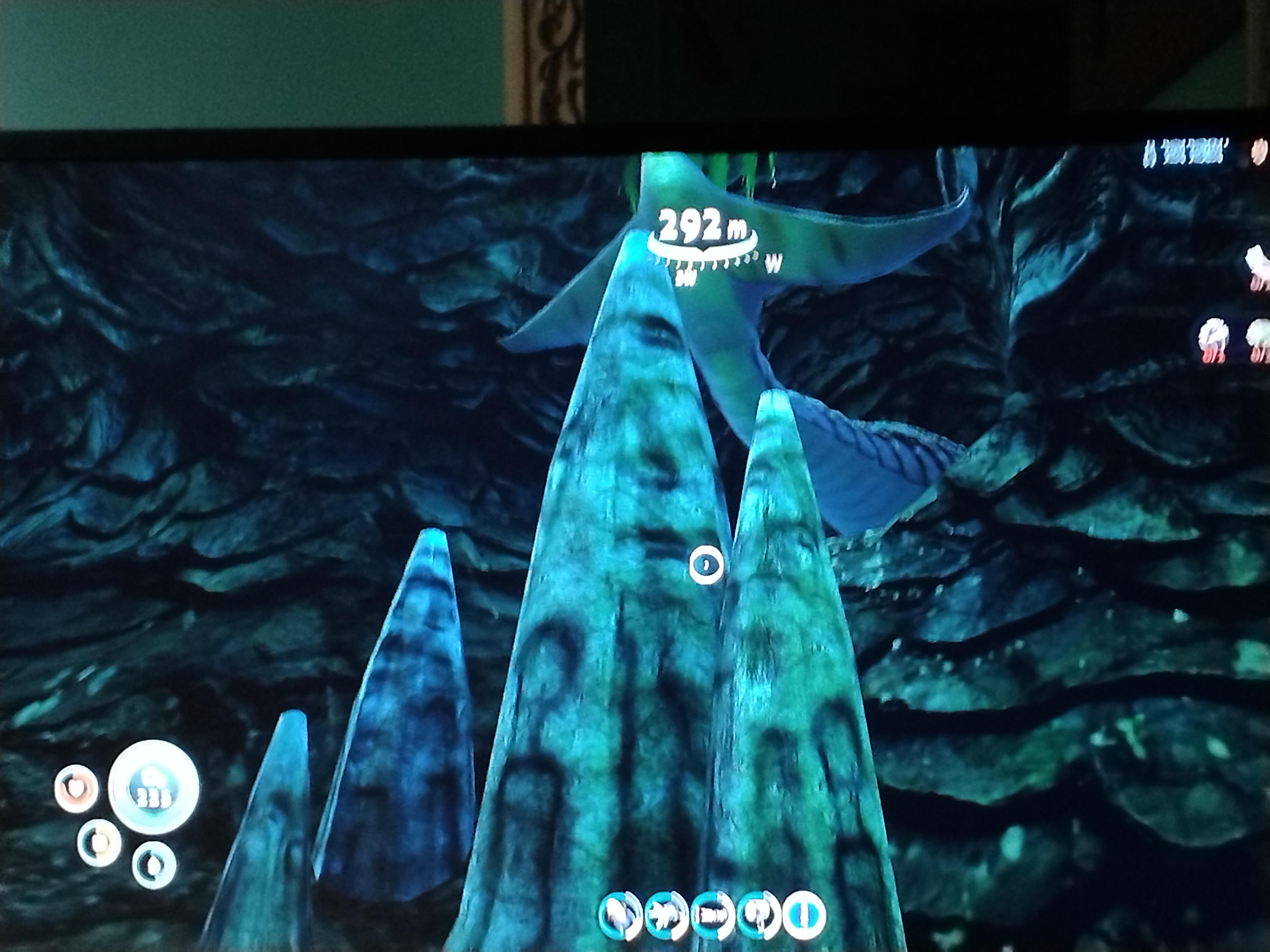 Step bone shark I'm stuck | Scrolller