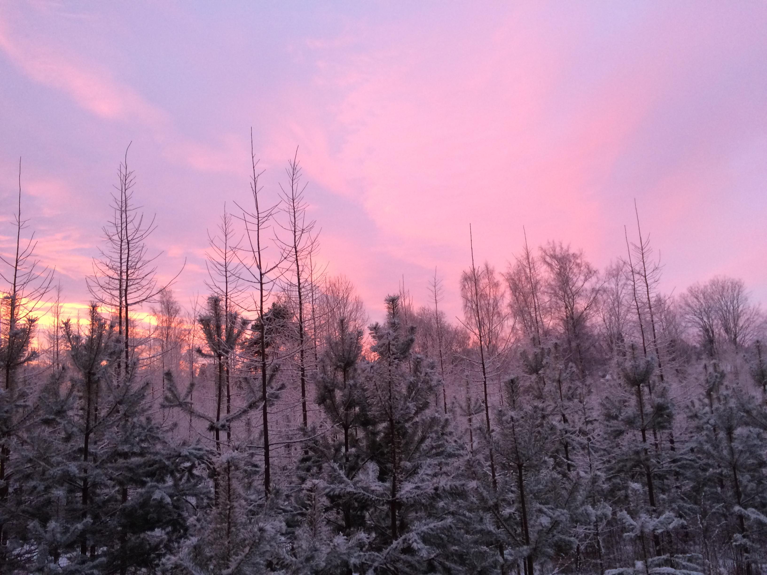 Frosty sunrise | Scrolller