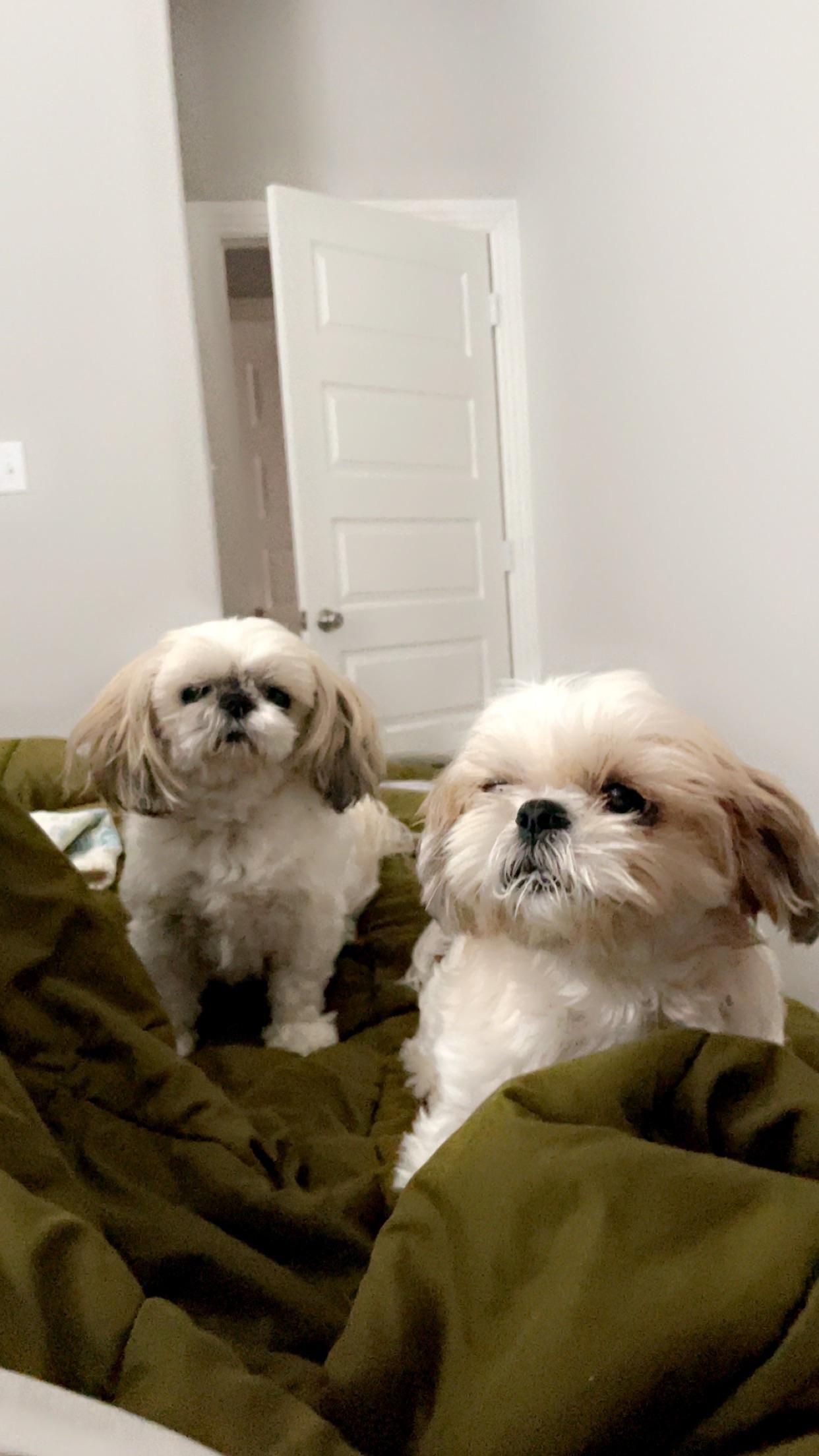 Grand Rising! | Scrolller