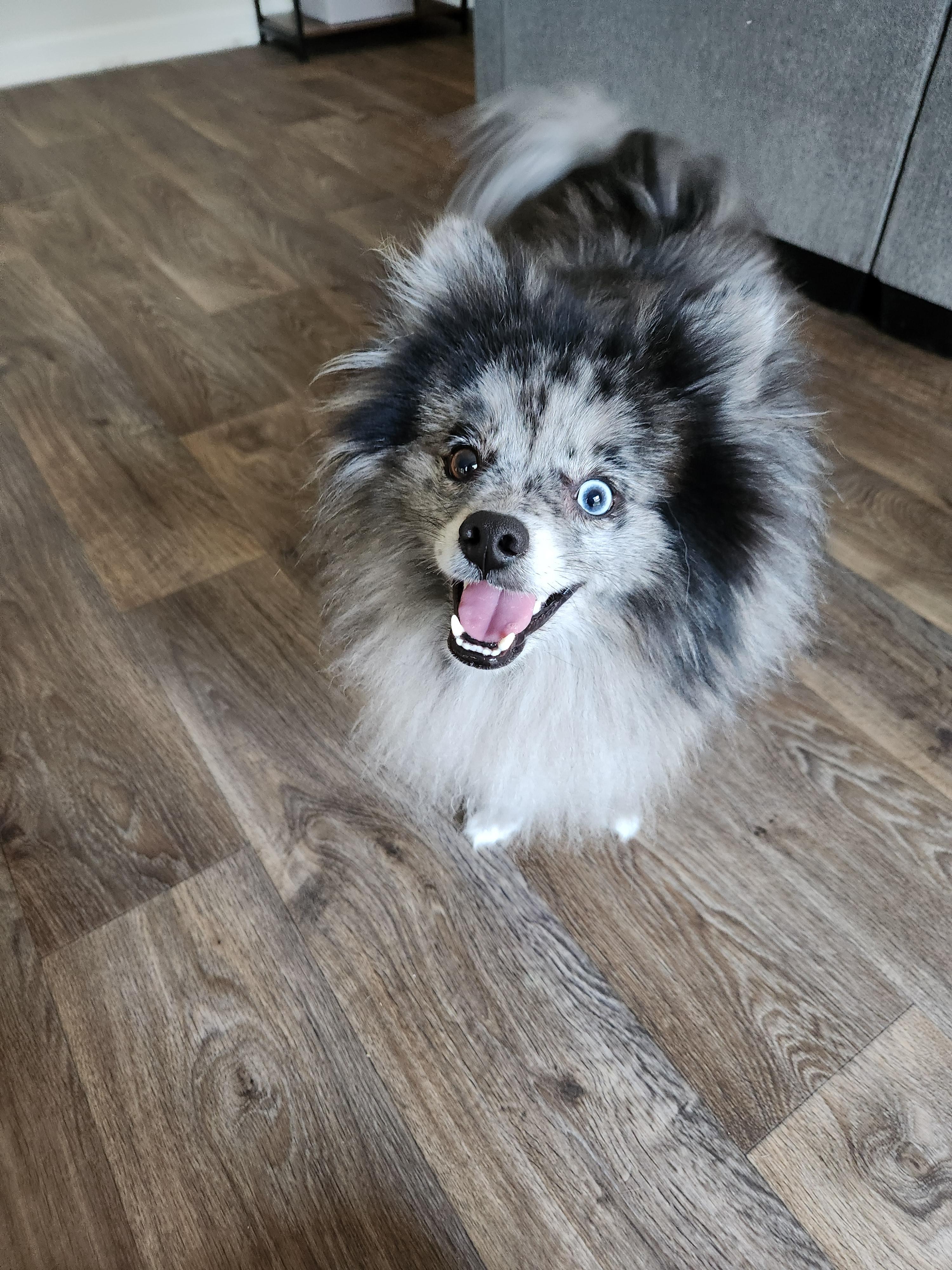 Two sides of Oreo | Scrolller