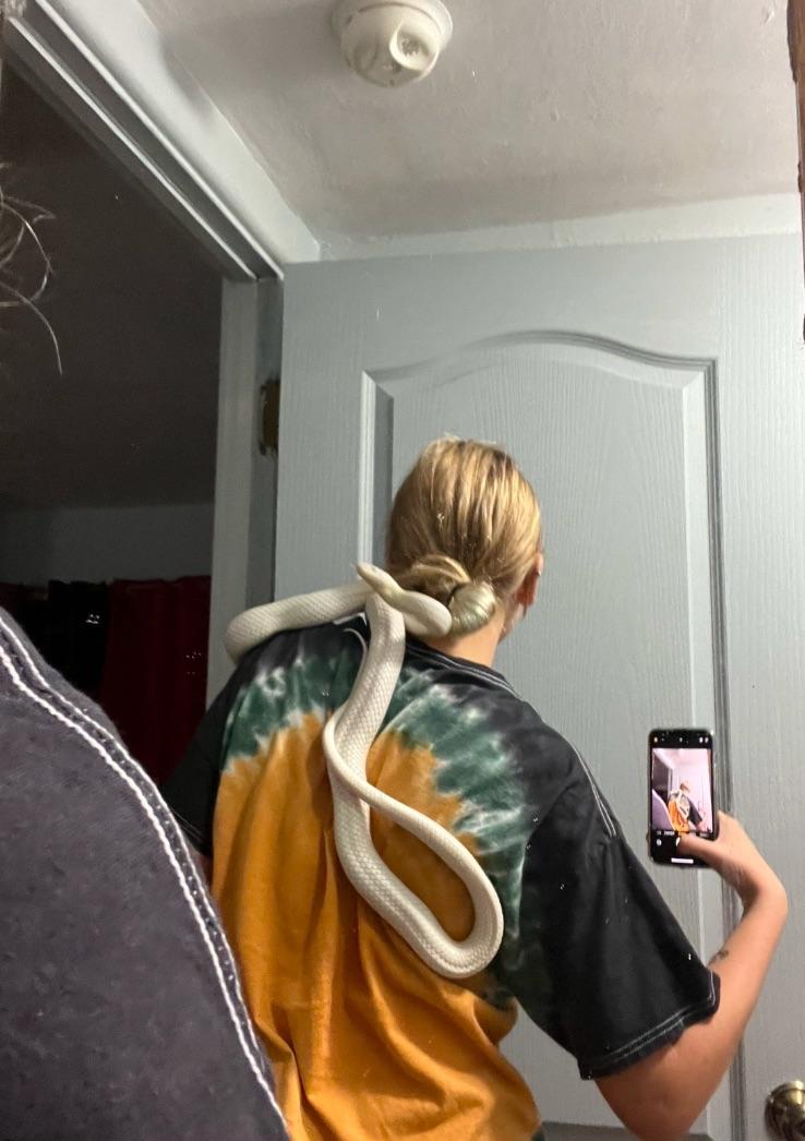 Discover more like Snakes: Habitat advice - Texas Rat Snake and Related Content | Scrolller