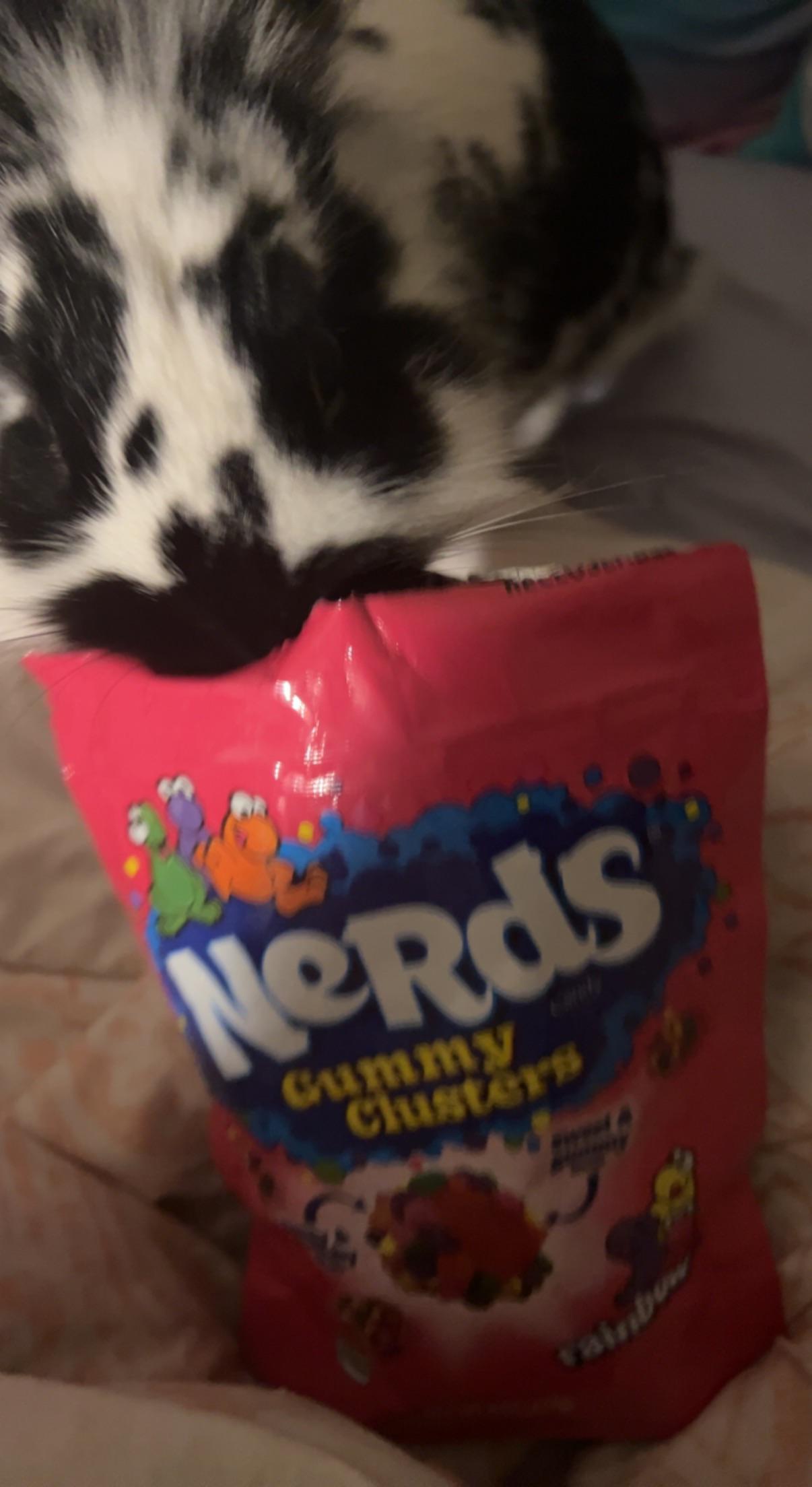 A saga in 3 pictures | Scrolller