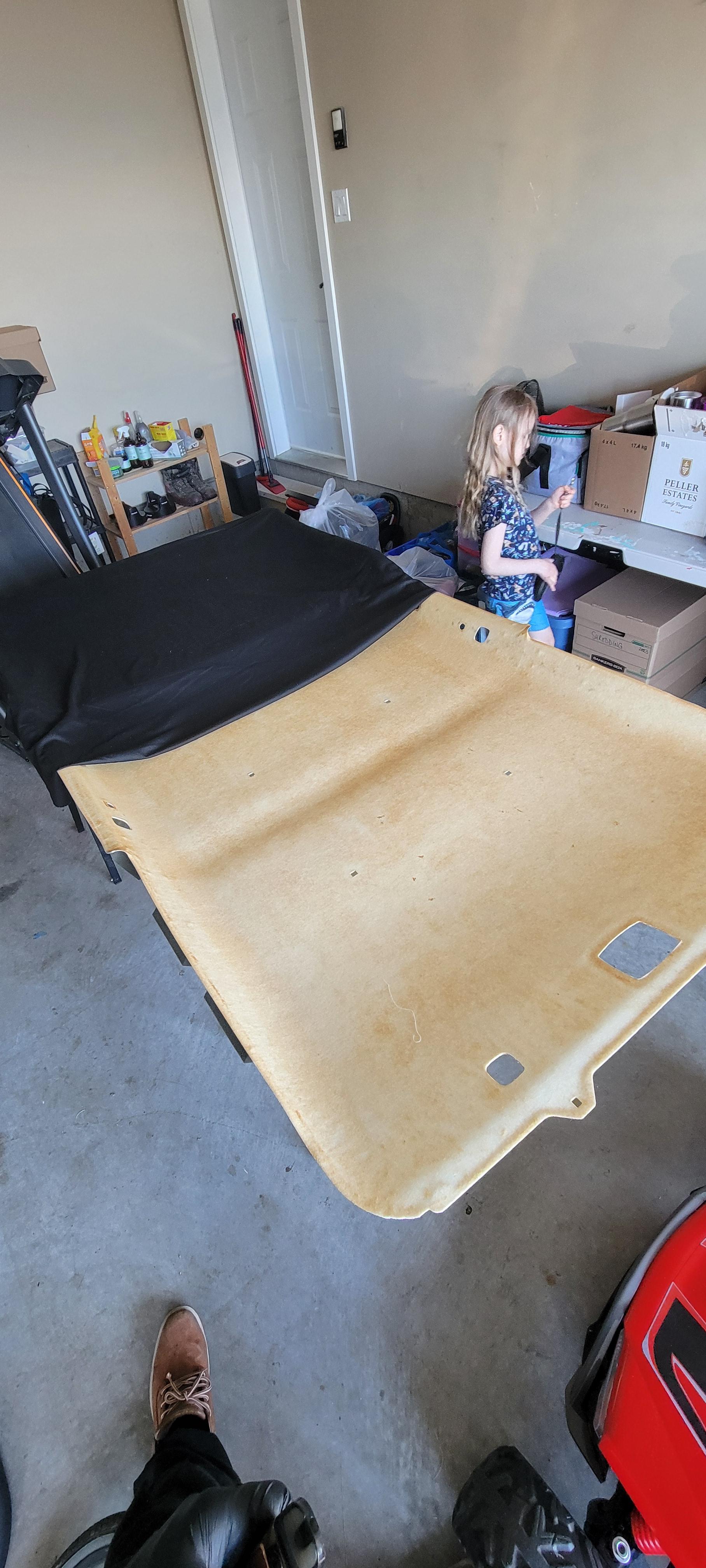 New liner | Scrolller