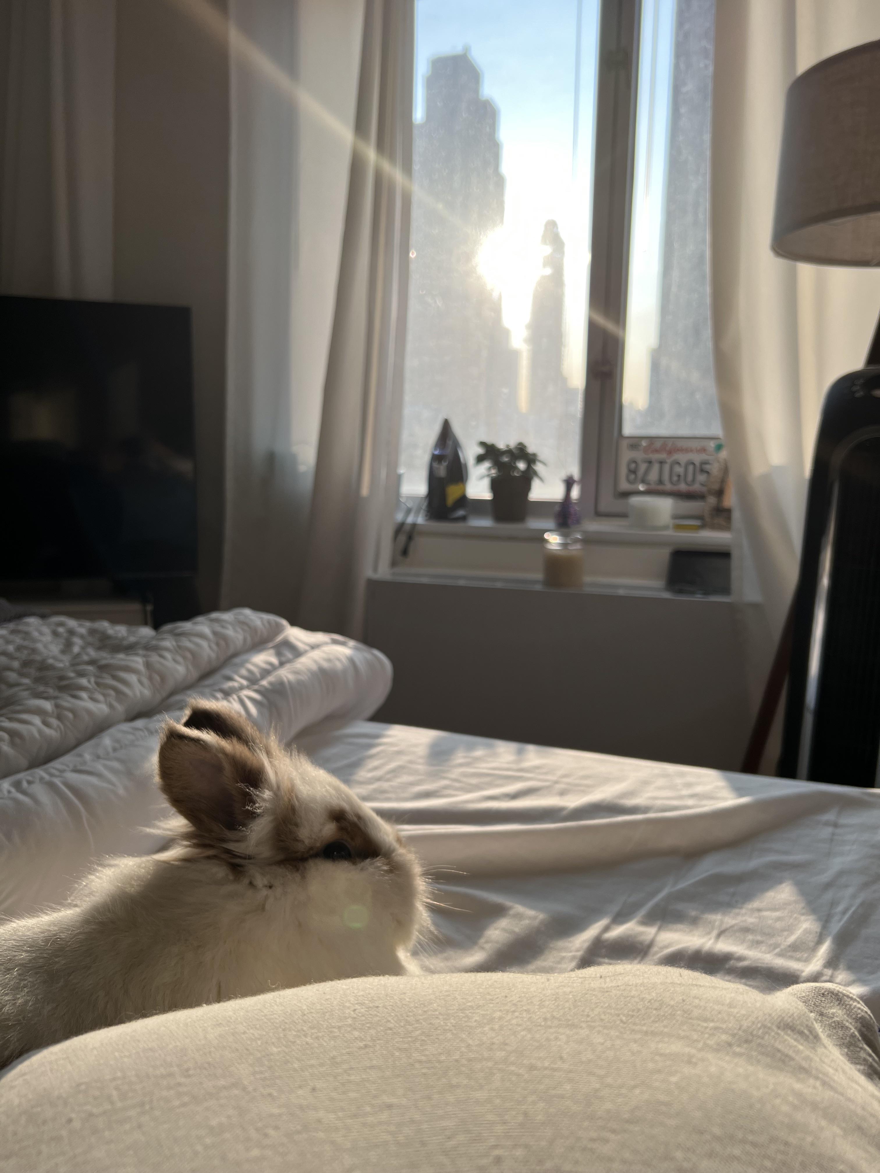 Sunbathing | Scrolller