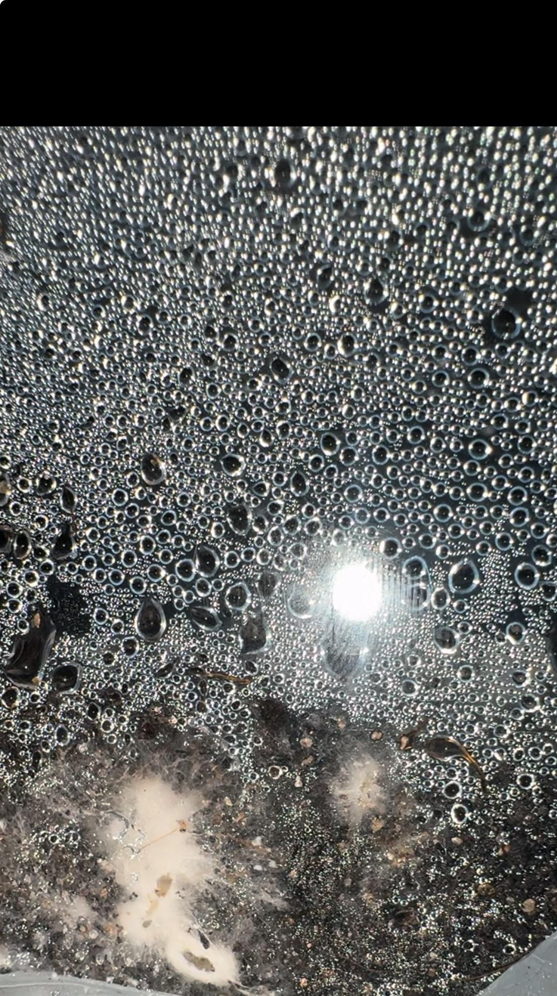 First attempt | Scrolller