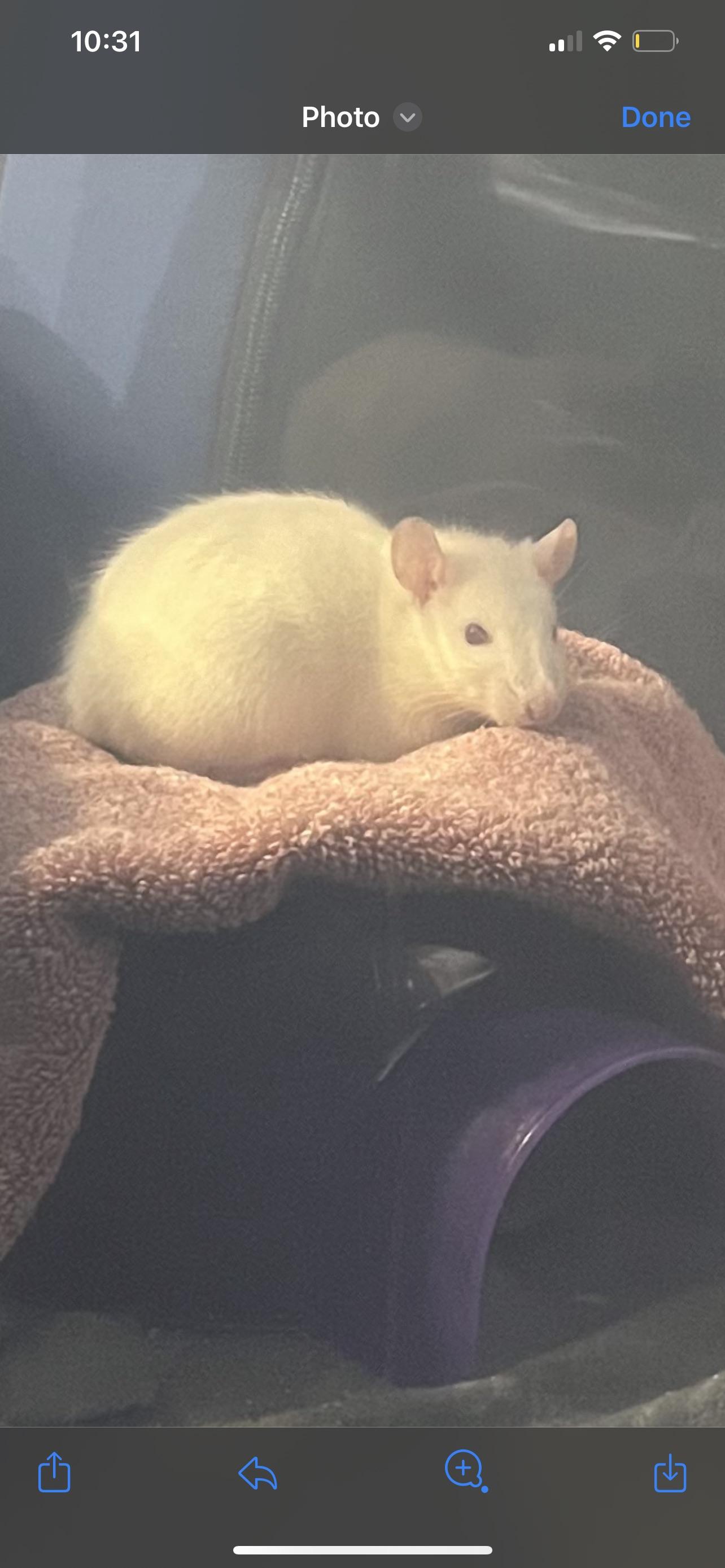 Looking for advice | Scrolller