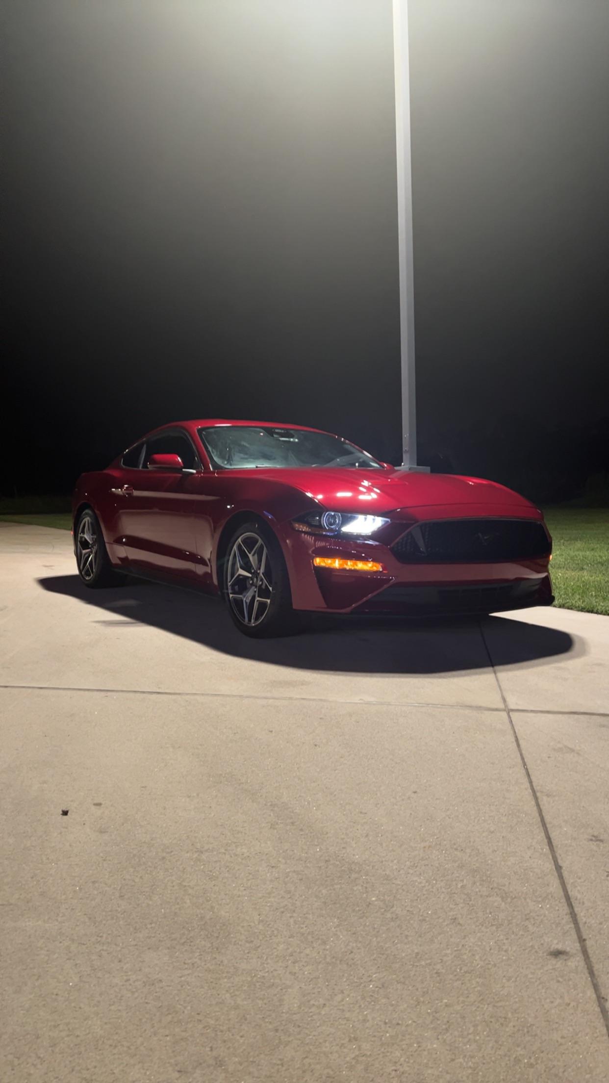 Grille logo | Scrolller