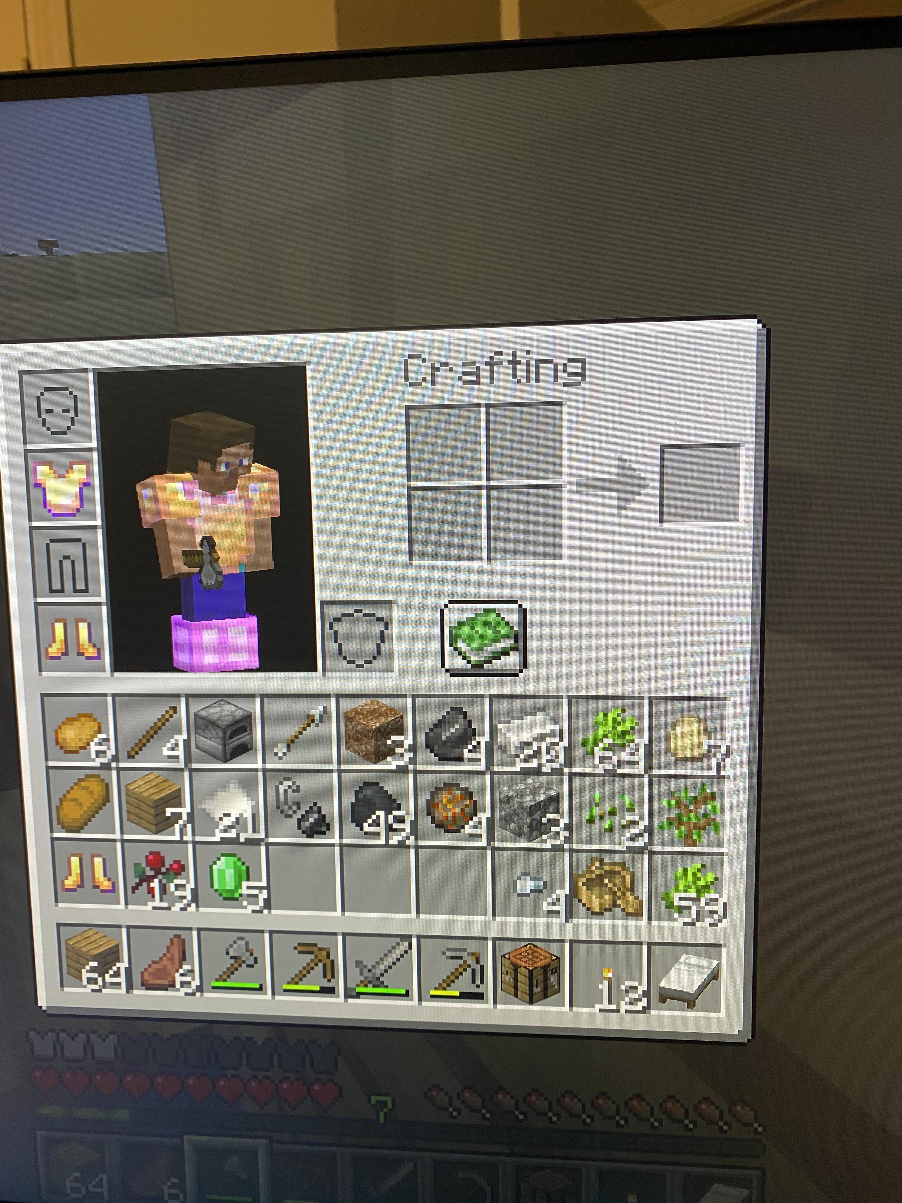 What do y’all think of my large biomes inventory? (No base, only travel) | Scrolller