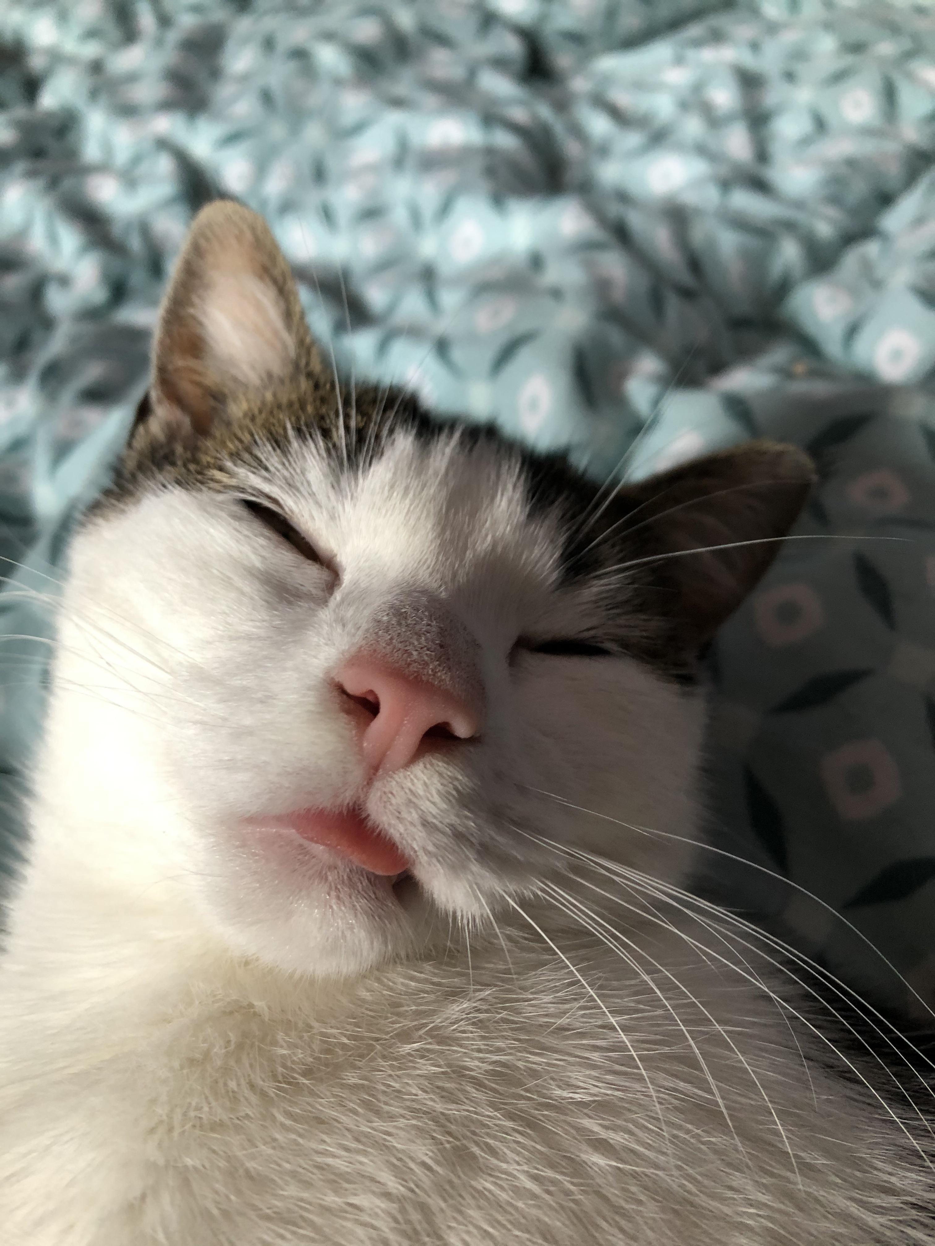 Don’t touch me, I’m dead. Human. | Scrolller