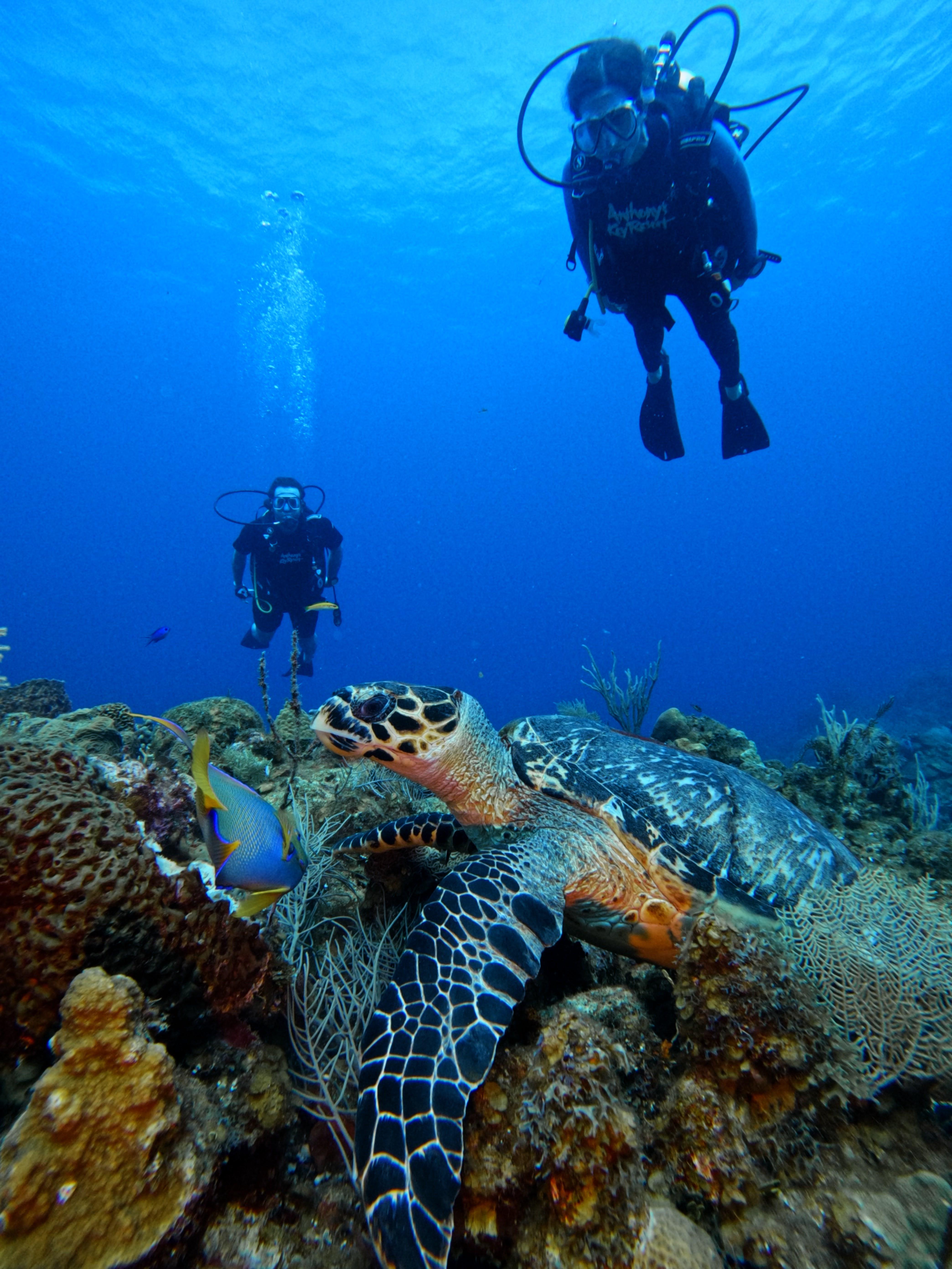 First picture of my wife and I scuba diving | Scrolller