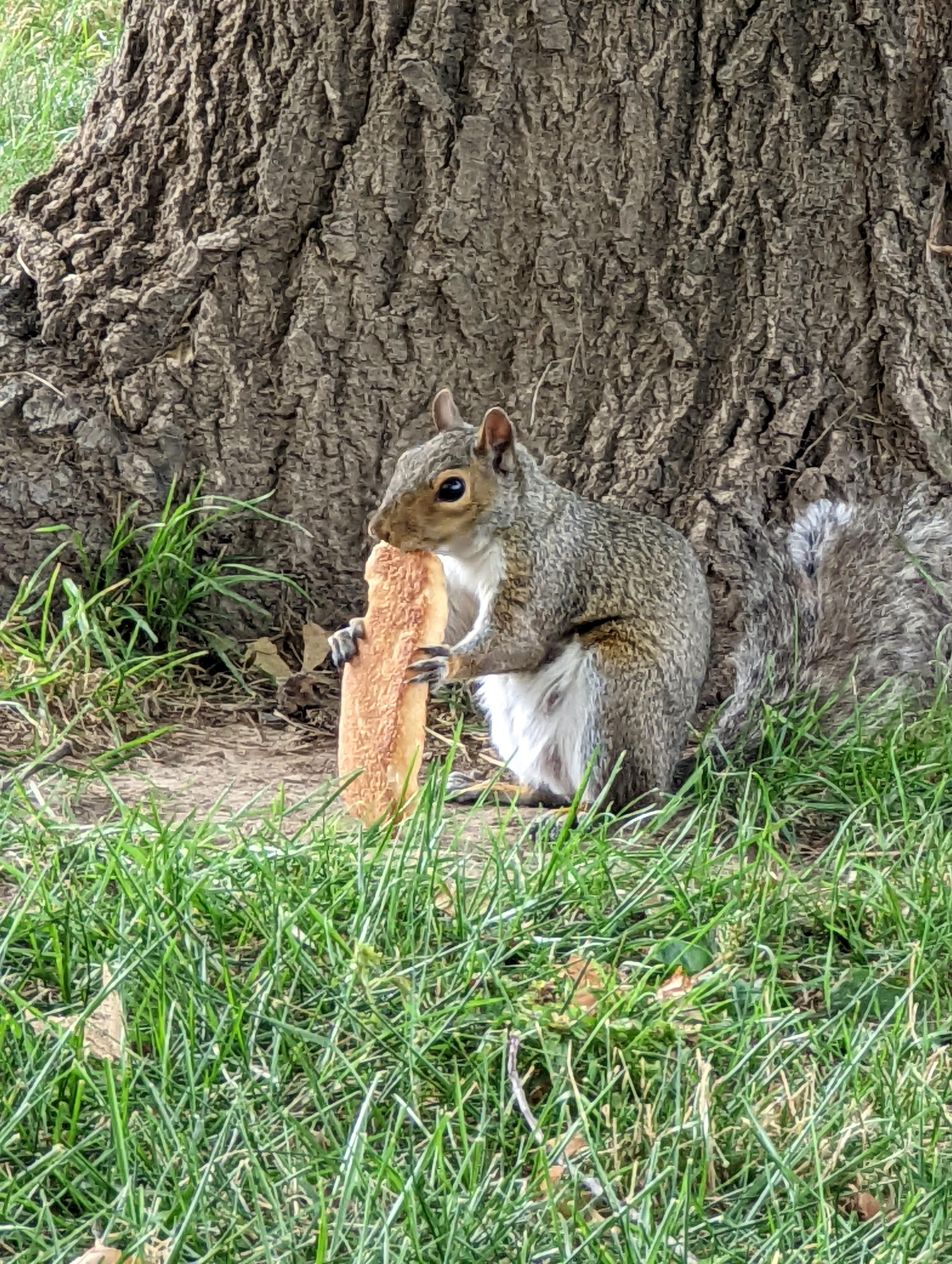 Jackpot!!! | Scrolller