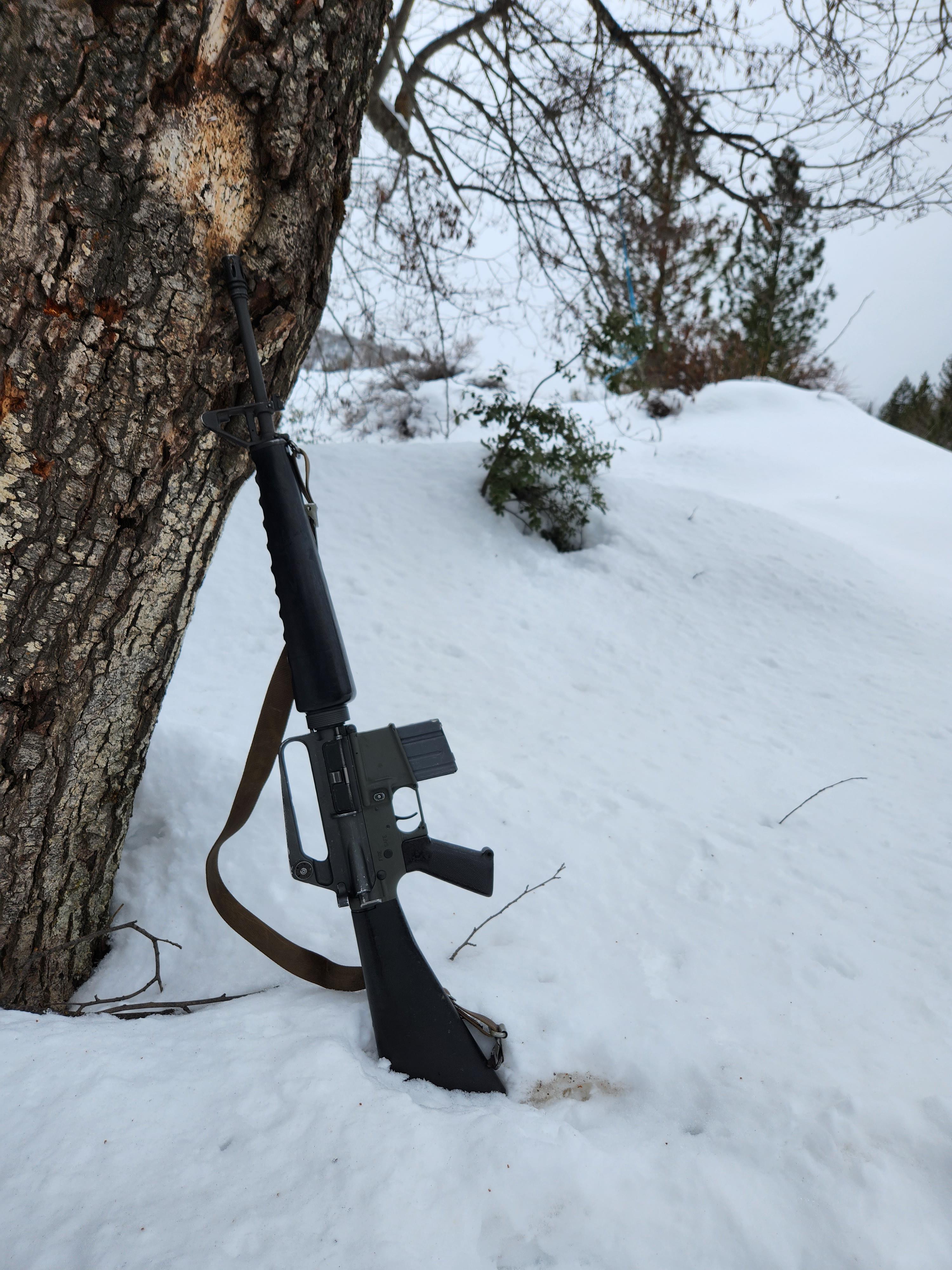 M16A1 (603) for 03/11 | Scrolller