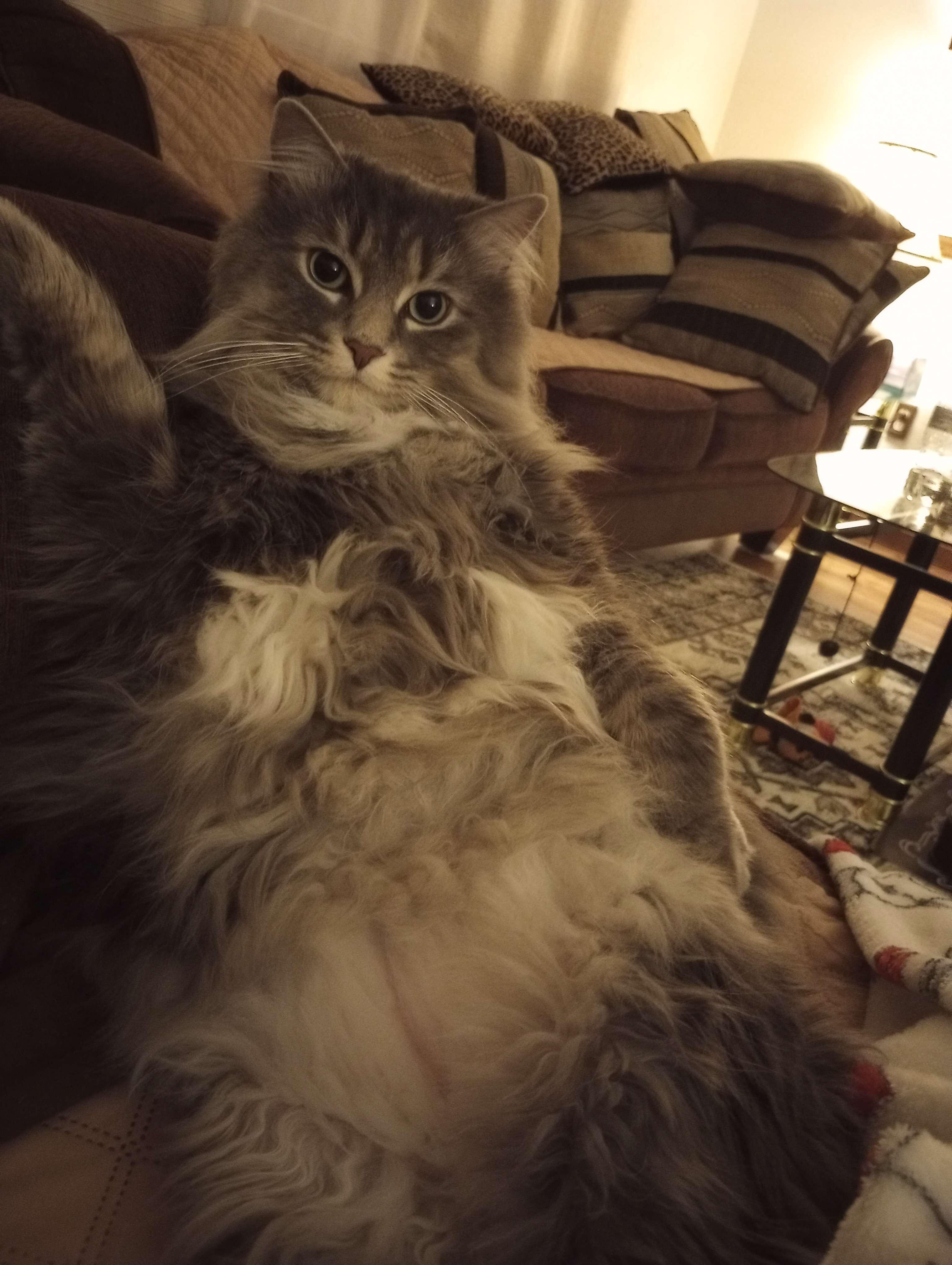 Big guy relaxing | Scrolller