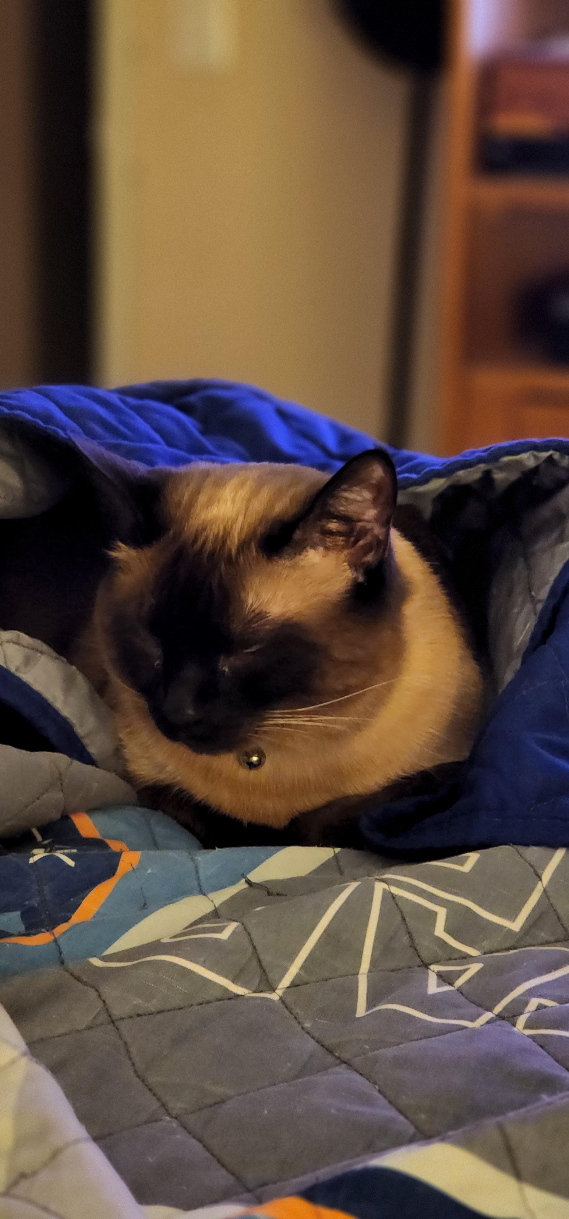 snug as a bug 🥰 | Scrolller