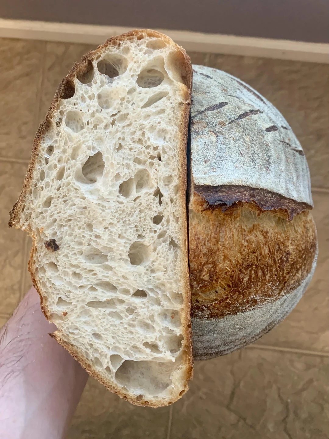 First Sourdough Using Discard! | Scrolller