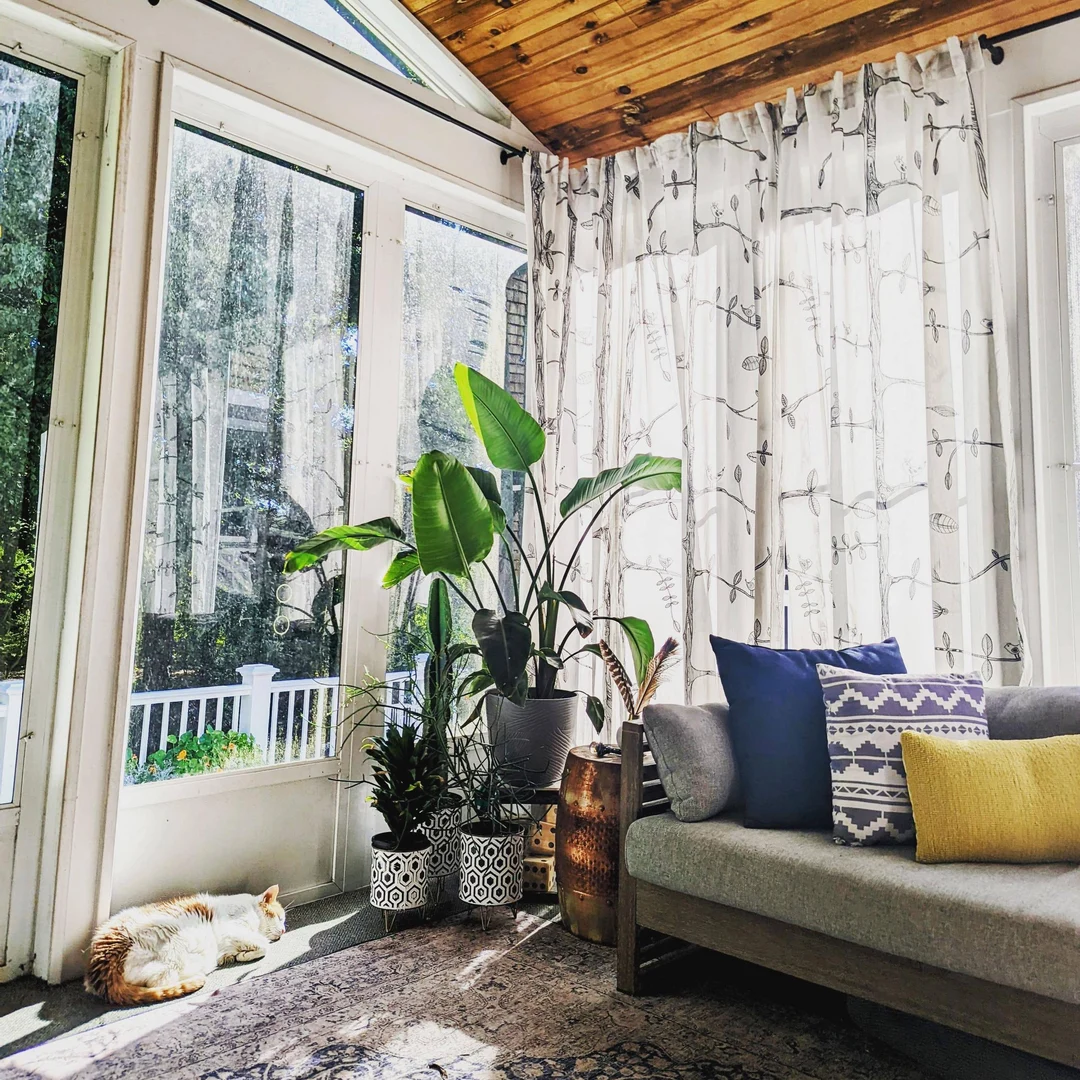 Charlee thinks my sunroom is pretty cozy | Scrolller