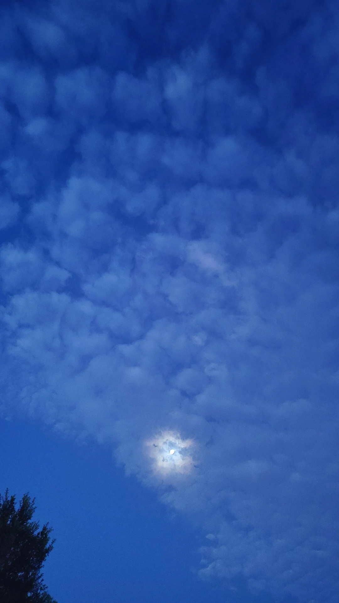 Pleasant Cloudy Morning | Scrolller