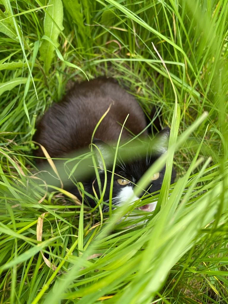 Our 16 year old Madame | Scrolller