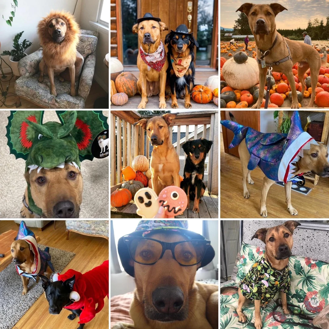 Teddy Costume retrospective | Scrolller