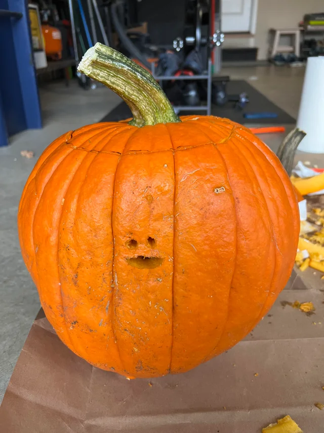 This is the perfect pumpkin. Ideal in form and function. | Scrolller