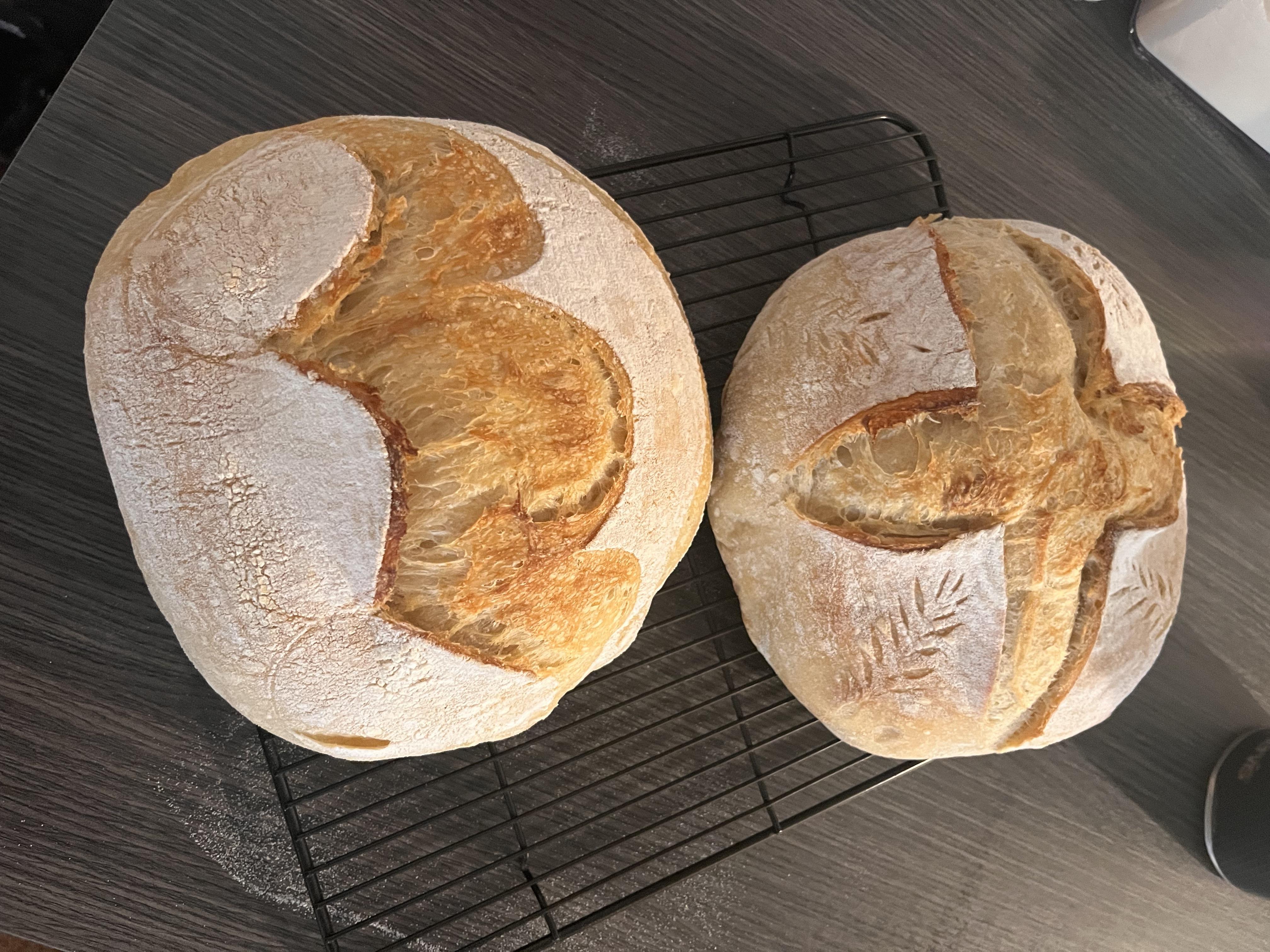 Beginner progress | Scrolller