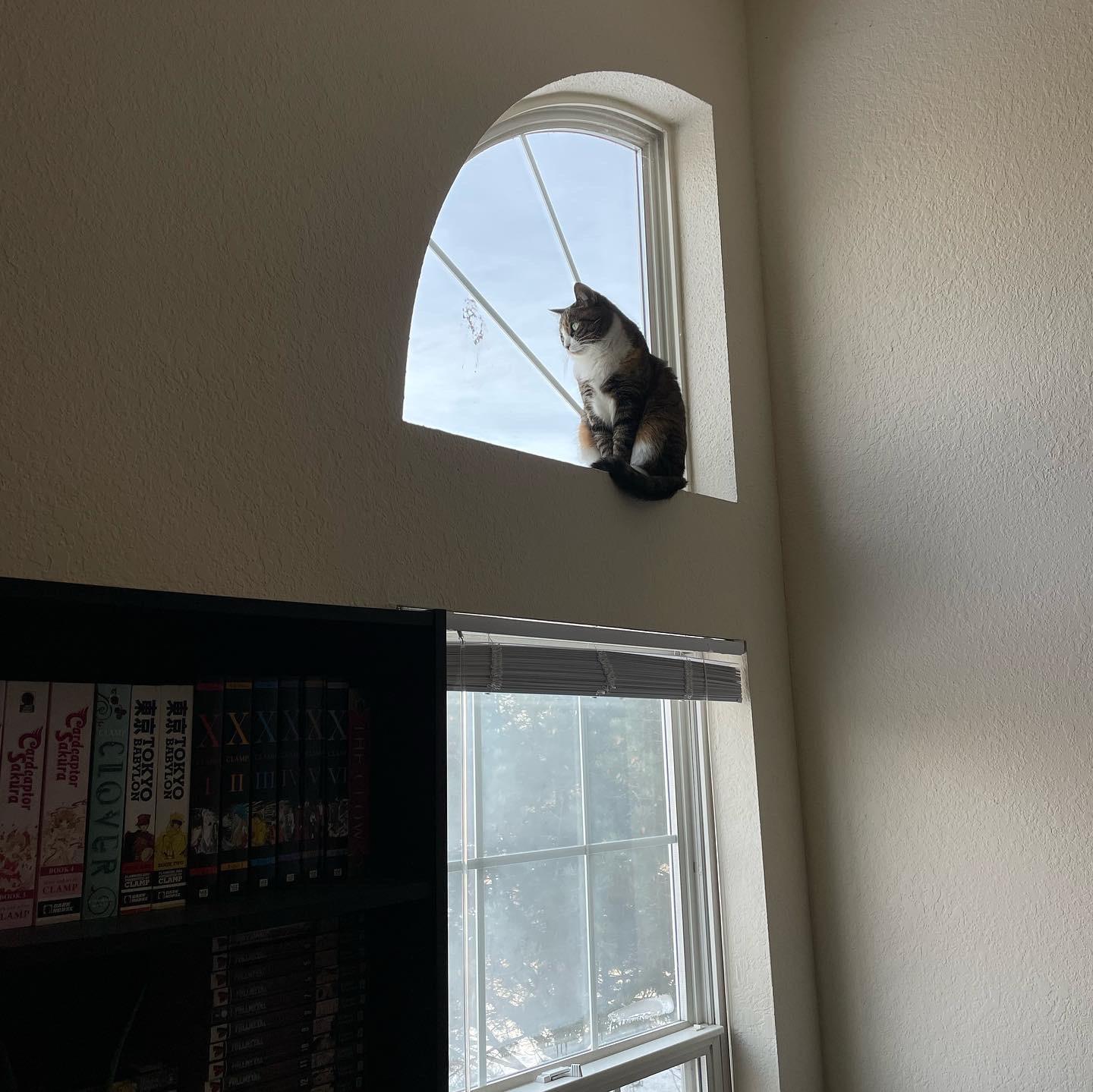 The sentry | Scrolller