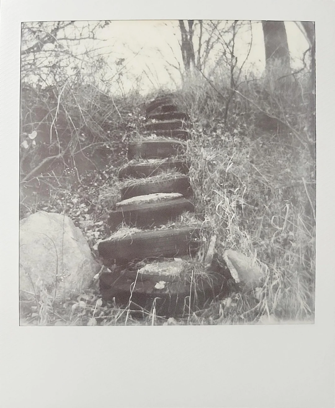 shortcut | Scrolller