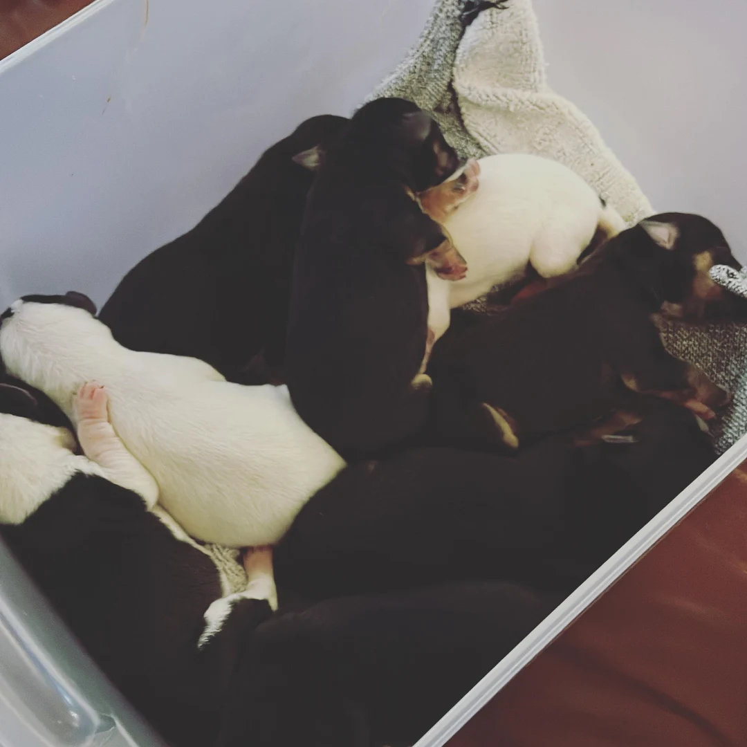 I have a bucket of my own personal dopamine | Scrolller