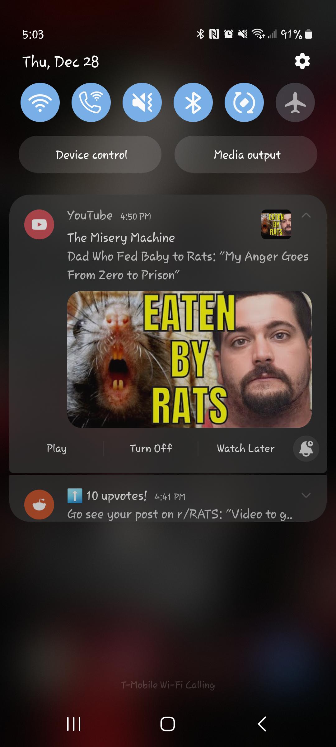 Ah yes, another reason for people to demonize rats. | Scrolller
