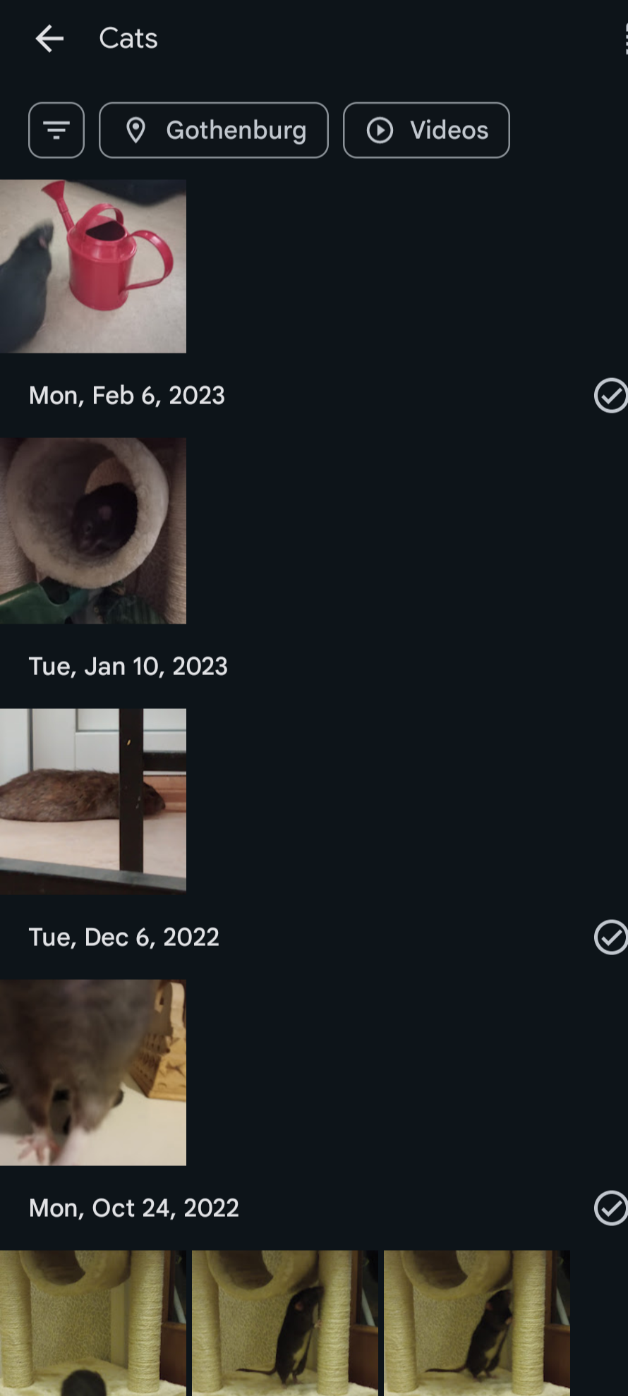 Behold my cats | Scrolller