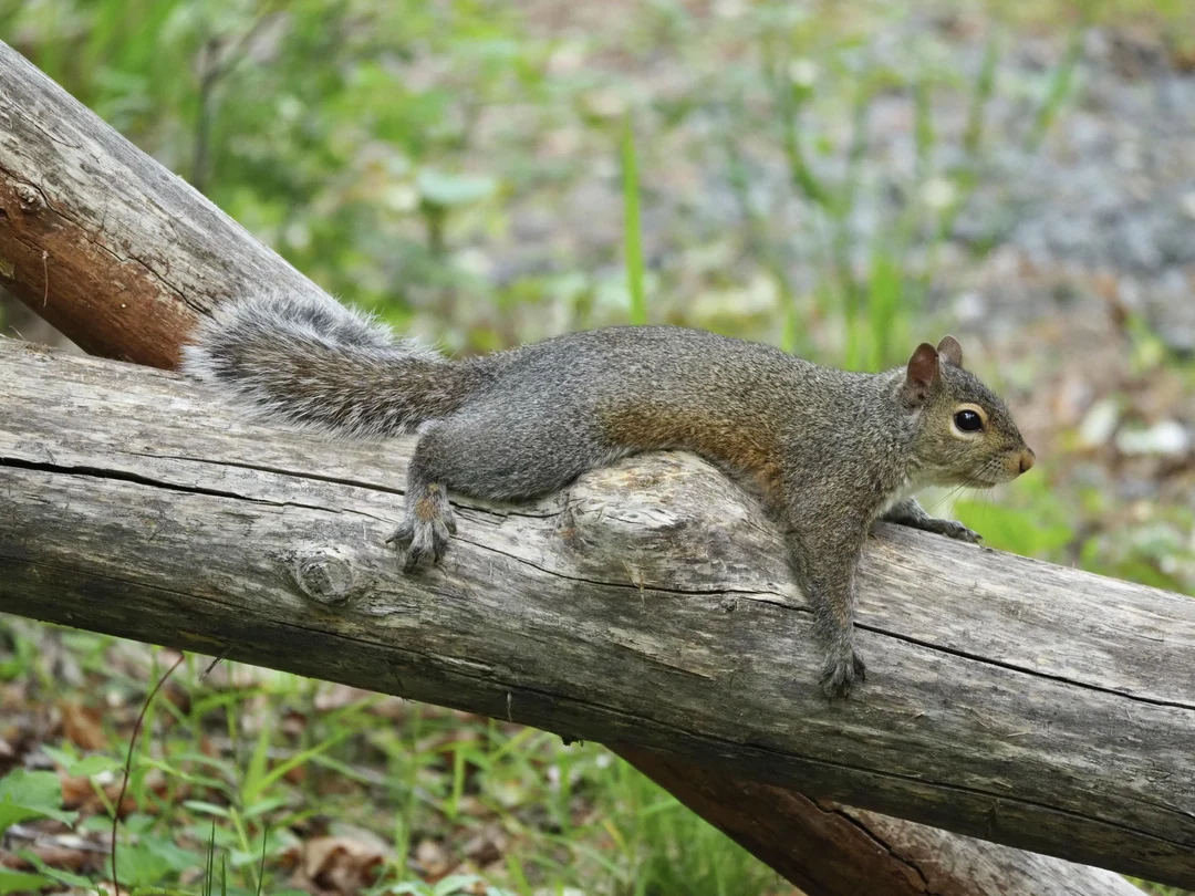 Mom chillin’ | Scrolller