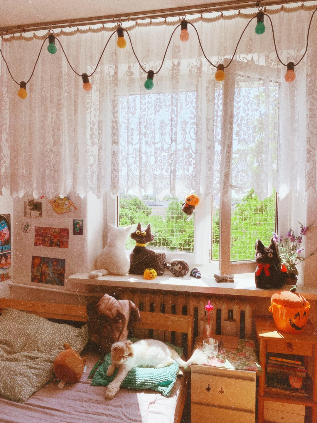 My cozy bedroom nook | Scrolller