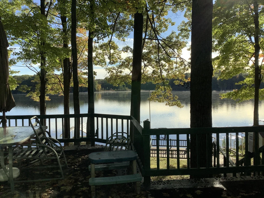 A View Outside my (borrowed) Cabin | Scrolller
