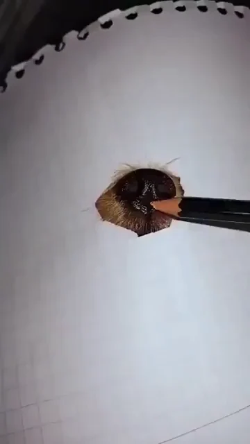 Drawing in progress. Uncanny realism. | Scrolller