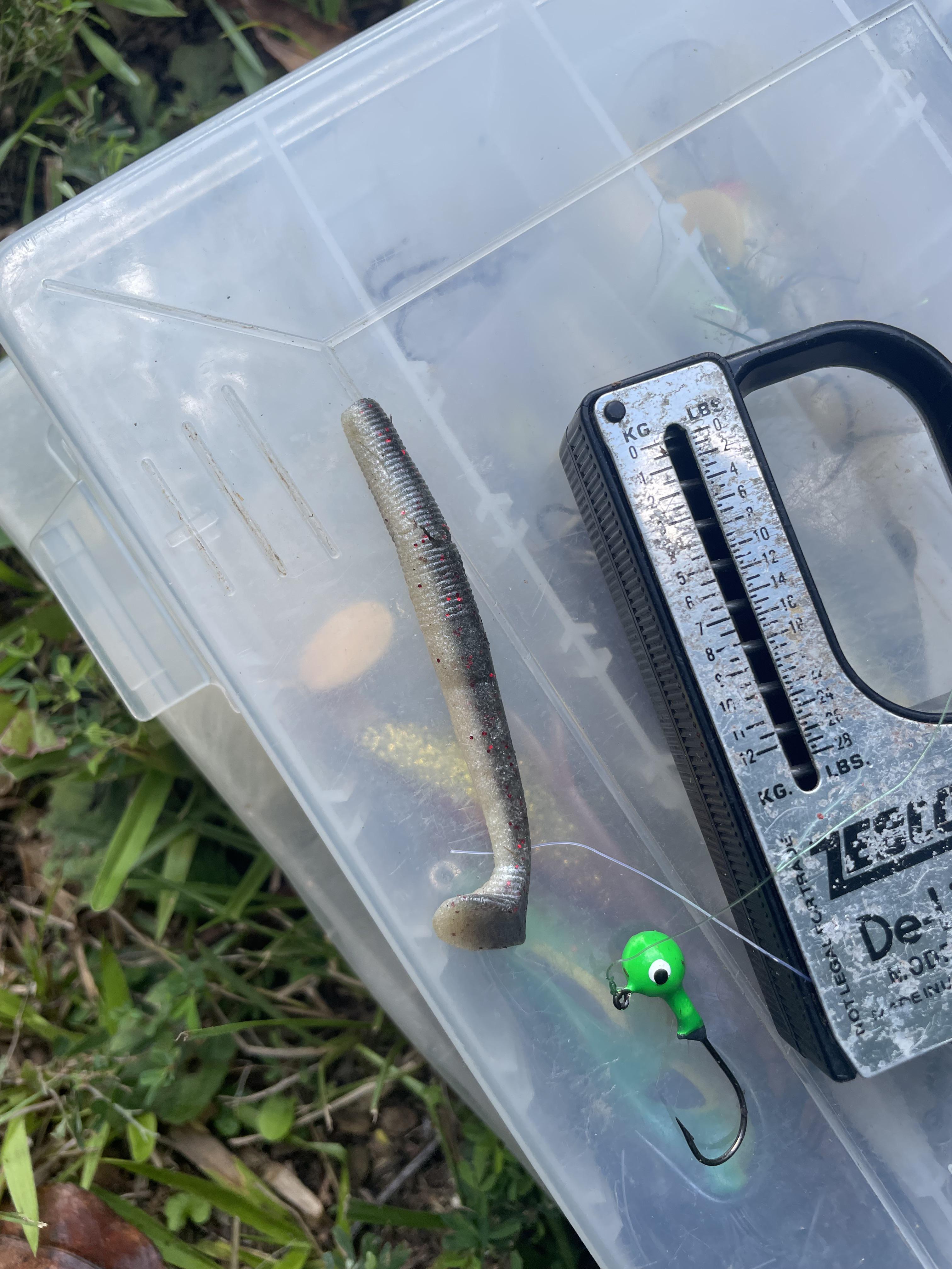 Can anyone identify this bait | Scrolller