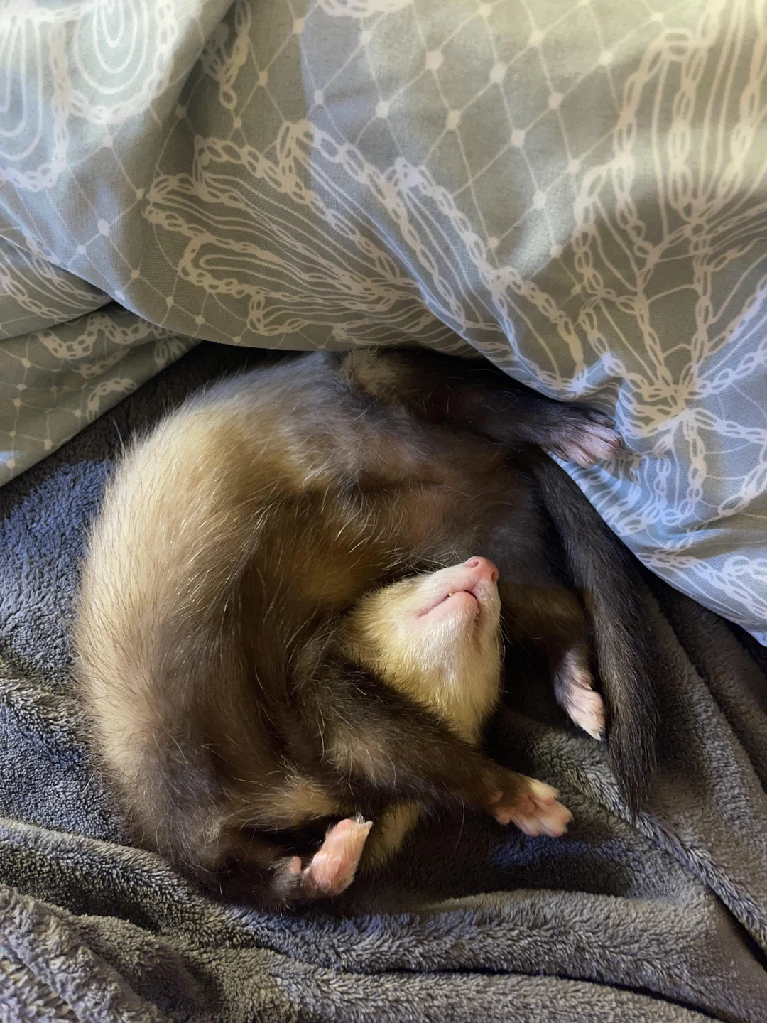 sleepy baby | Scrolller